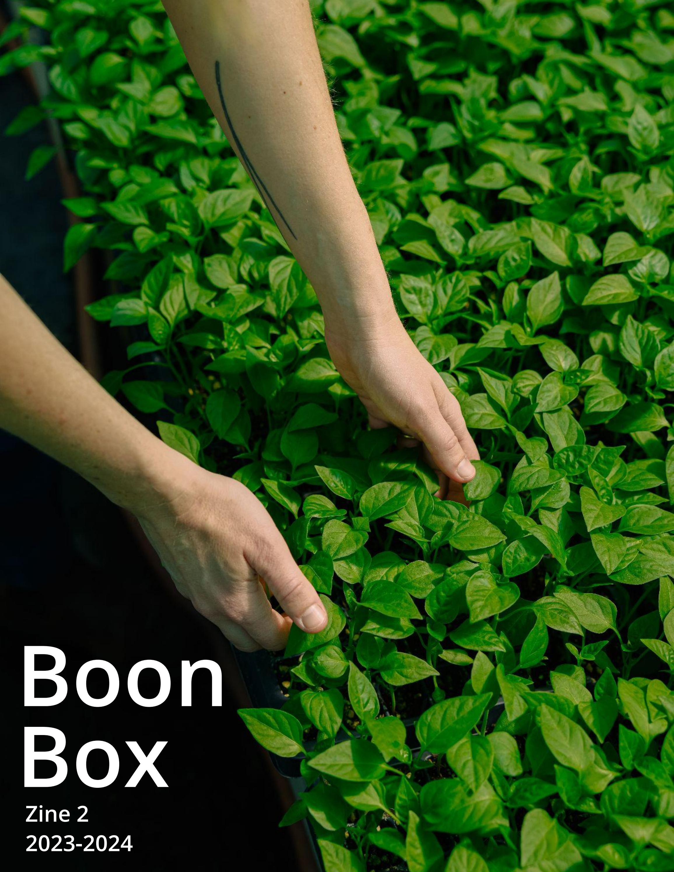 2023-2024 Boon Box Zine 2 by boonvillebarn - Issuu