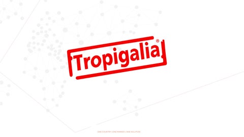 Apresentação Tropigalia 2023 EN by Tropigalia - Issuu