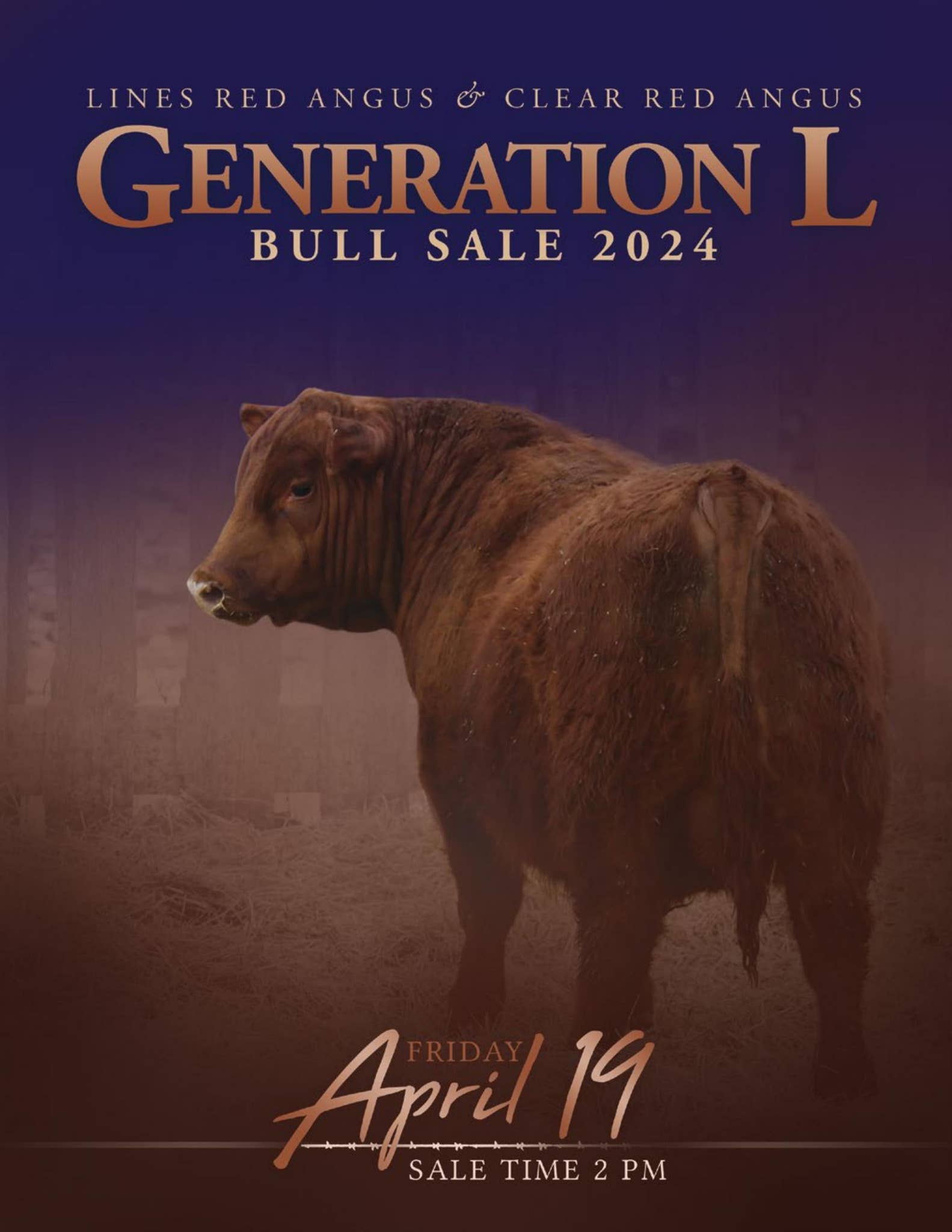 Lines Red Angus & Clear Red Angus Bull Sale by Castlerock Marketing - Issuu