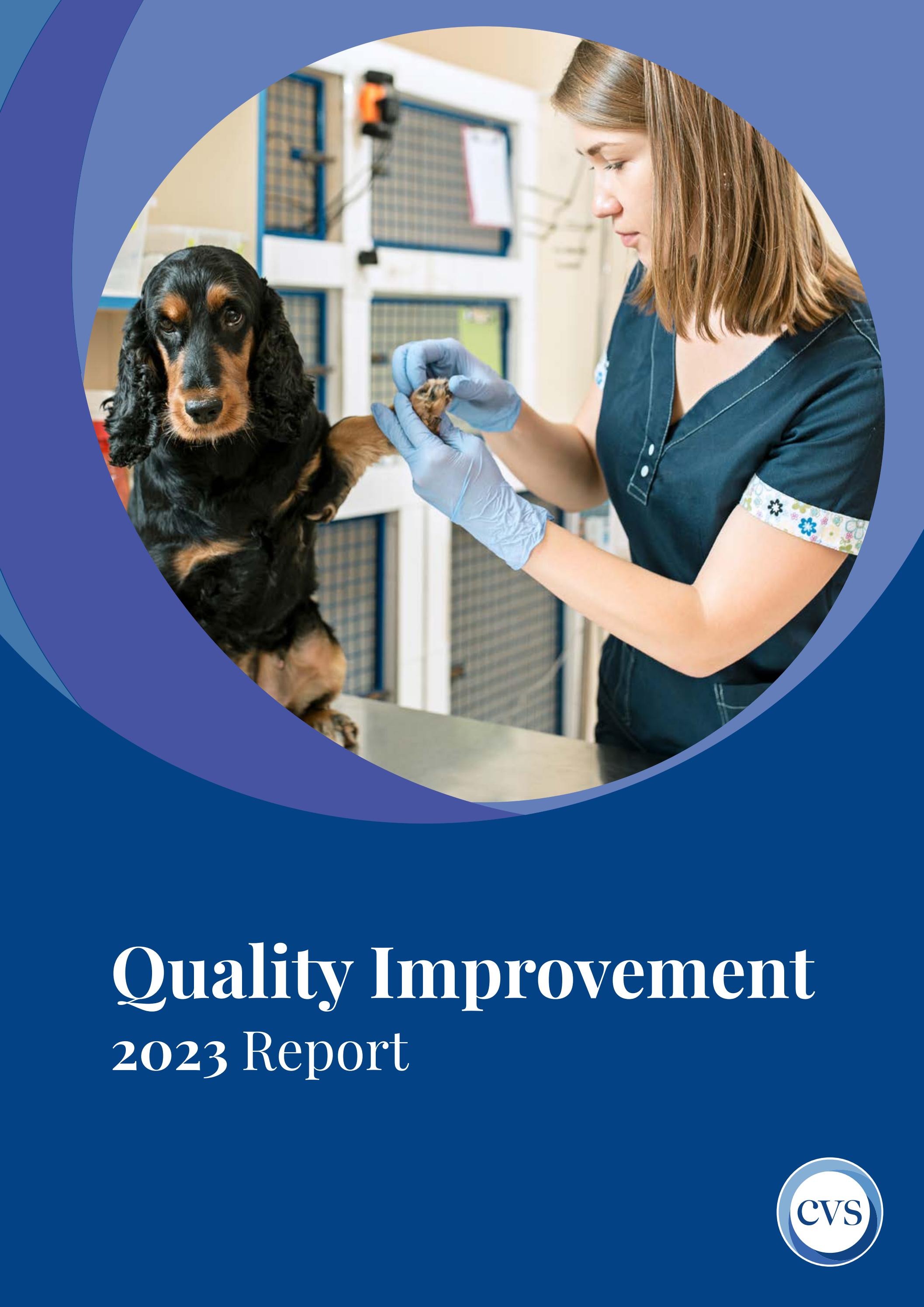 CVS QI Report 2023 by RSzustakowski - Issuu