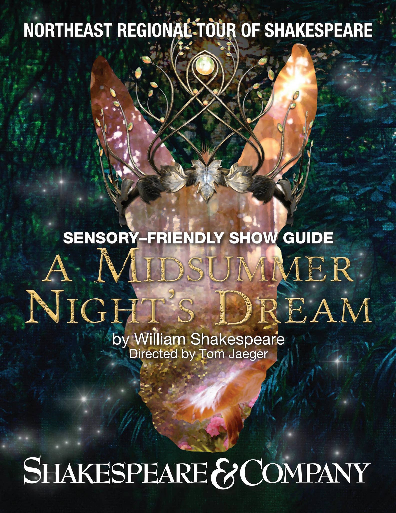 Sensory-friendly Guide: A Midsummer Night's Dream by Shakespeare ...