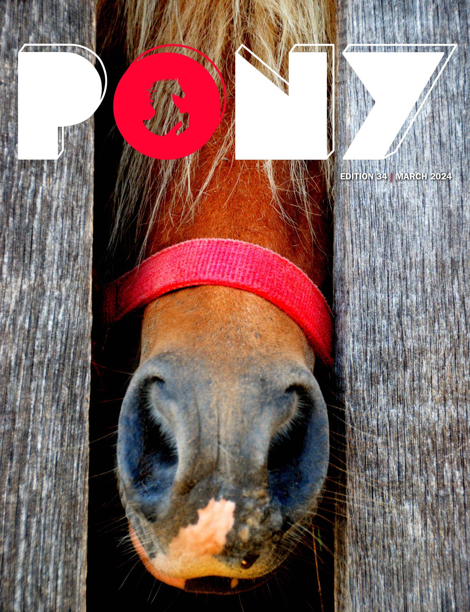 HQ Pony Magazine Issue 34 by hqmagazine - Issuu