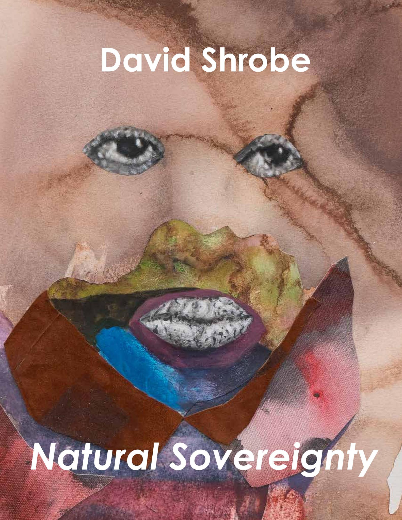 David Shrobe: Natural Sovereignty by Monique Meloche Gallery - Issuu