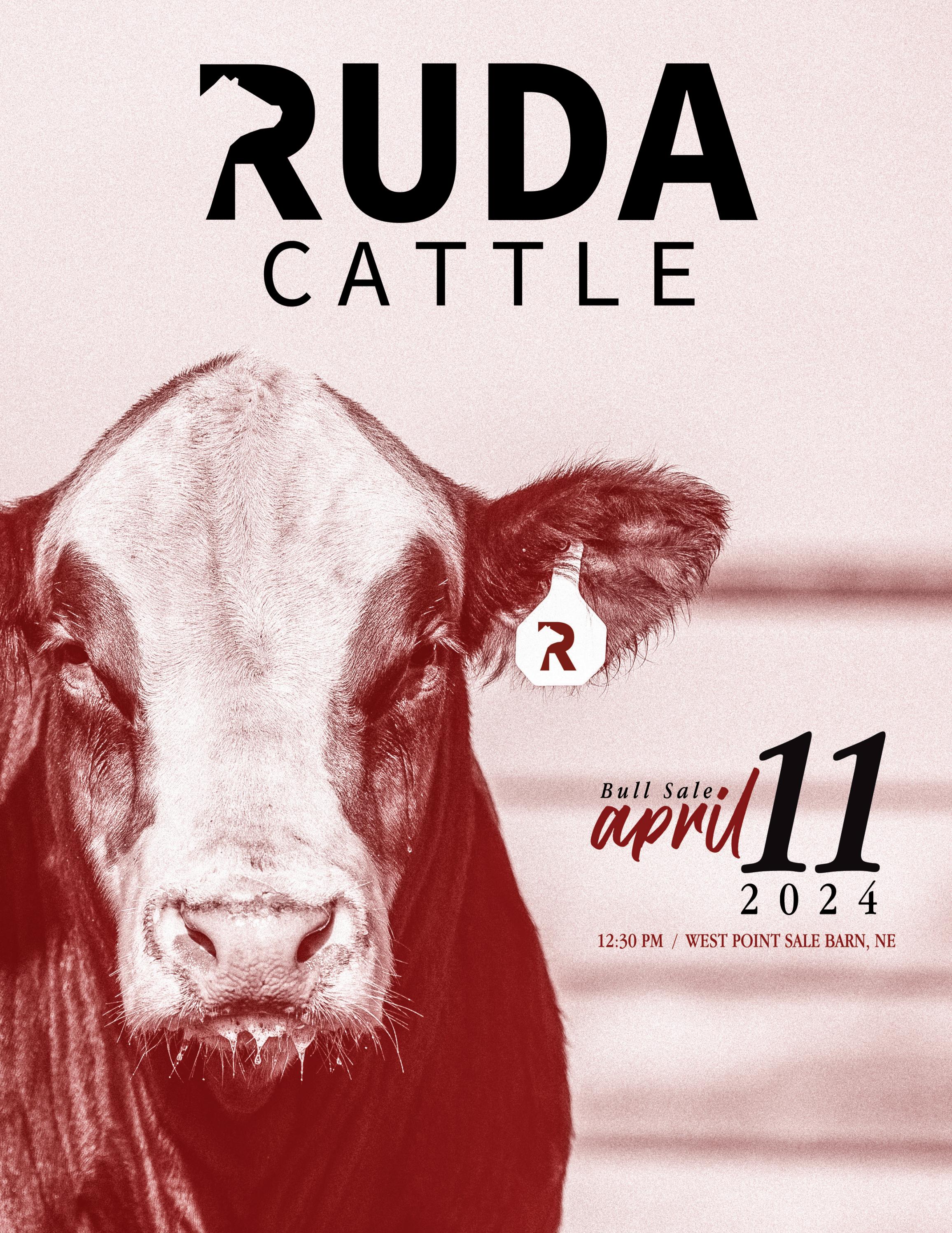 2024 Ruda Cattle Bull Sale by Jennie Jae Designs - Issuu