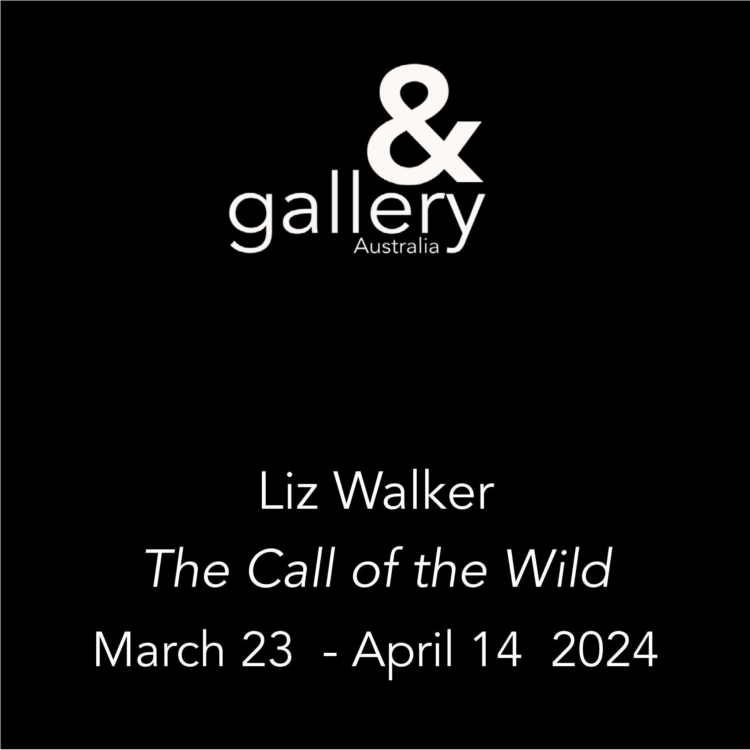 Liz Walker - Exhibition Catalogue by & Gallery Australia - Issuu