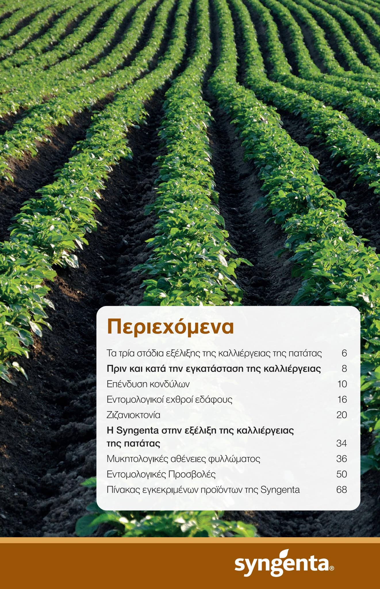Πατάτα by Syngenta Hellas - Issuu