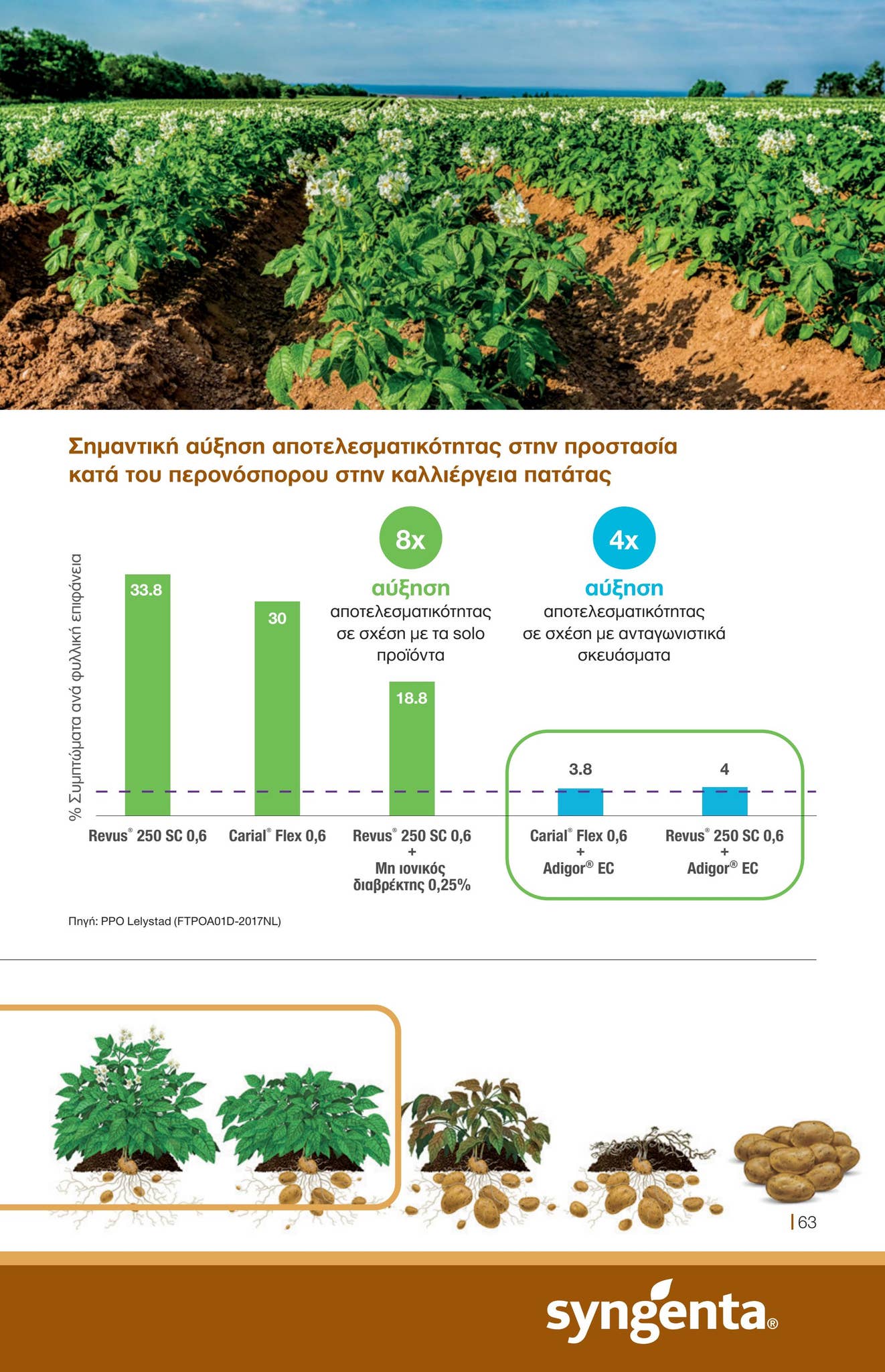 Πατάτα by Syngenta Hellas - Issuu