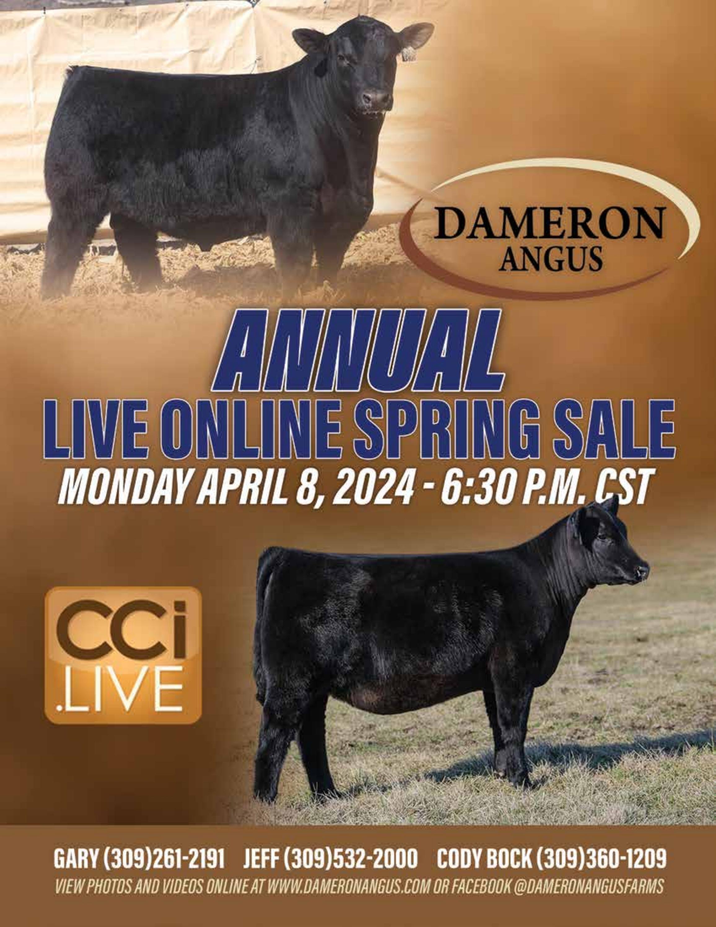 2024 Dameron Angus Sale Catalog by Ranch House Designs - Issuu