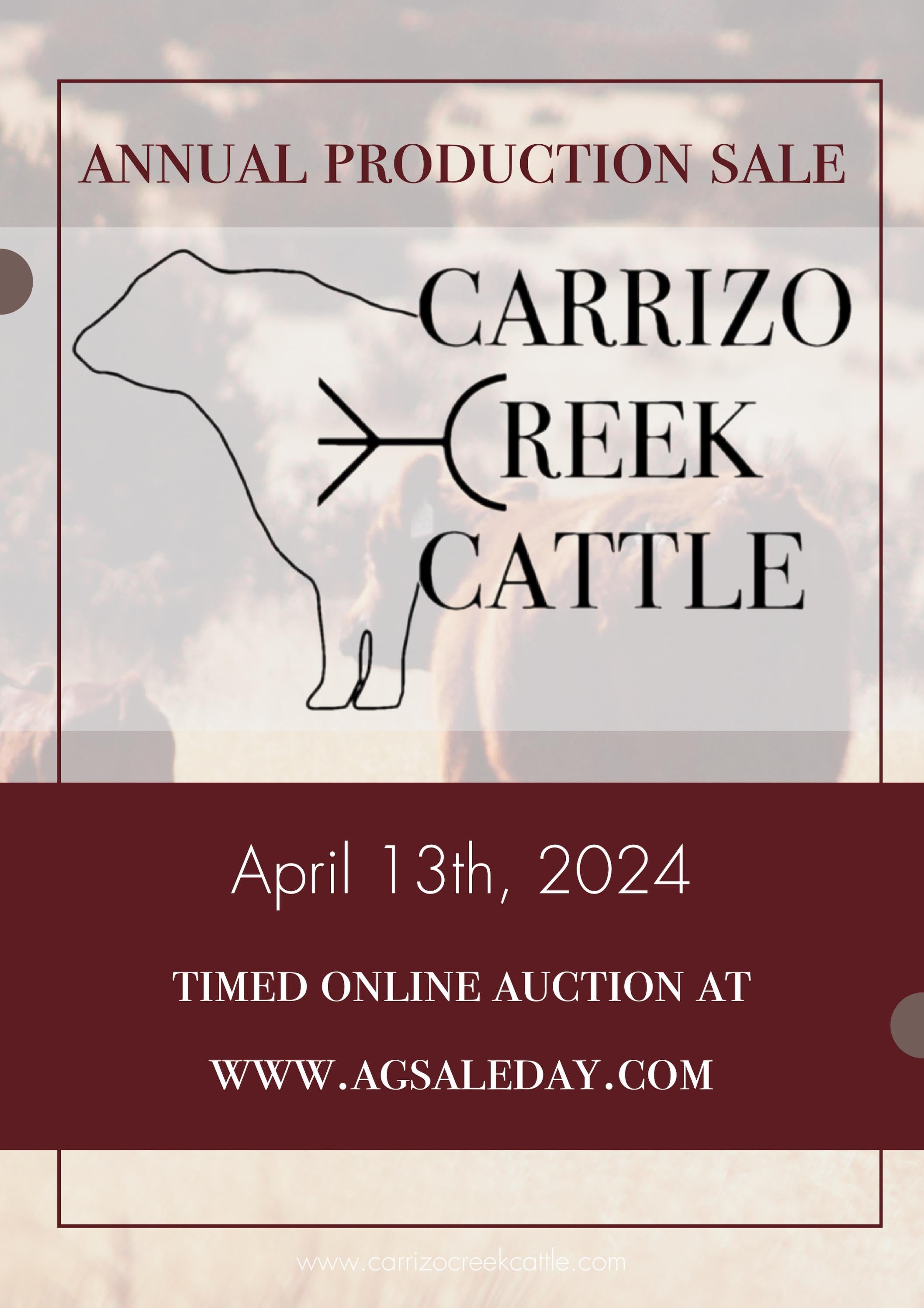 Carrizo Creek Cattle Annual Red Angus Production Sale by kolby.shannon ...