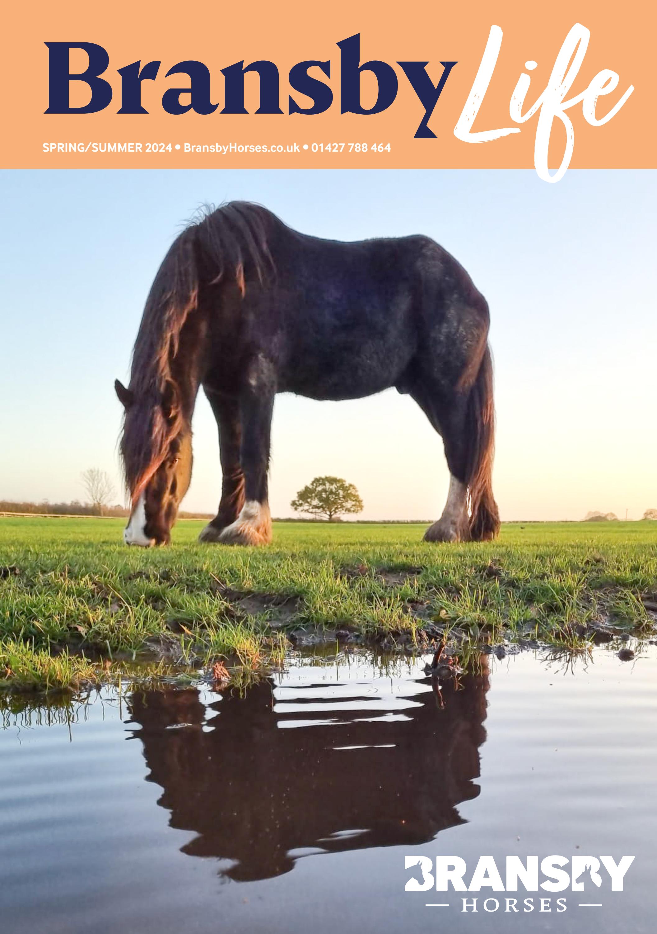 Bransby Life Spring/Summer 2024 by Bransby Horses - Issuu