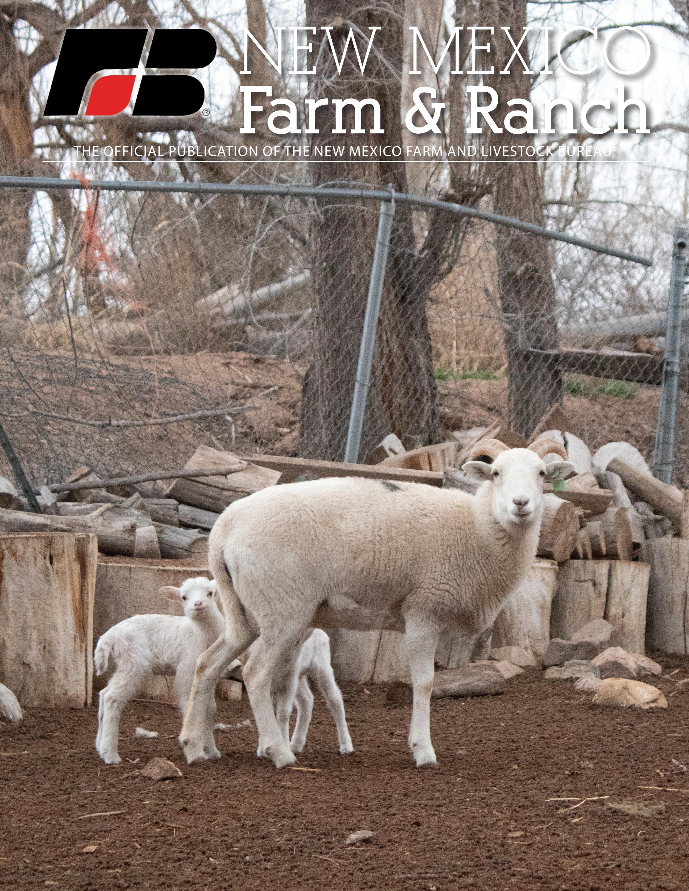 Spring 2024 New Mexico Farm and Ranch by New Mexico Farm & Livestock ...