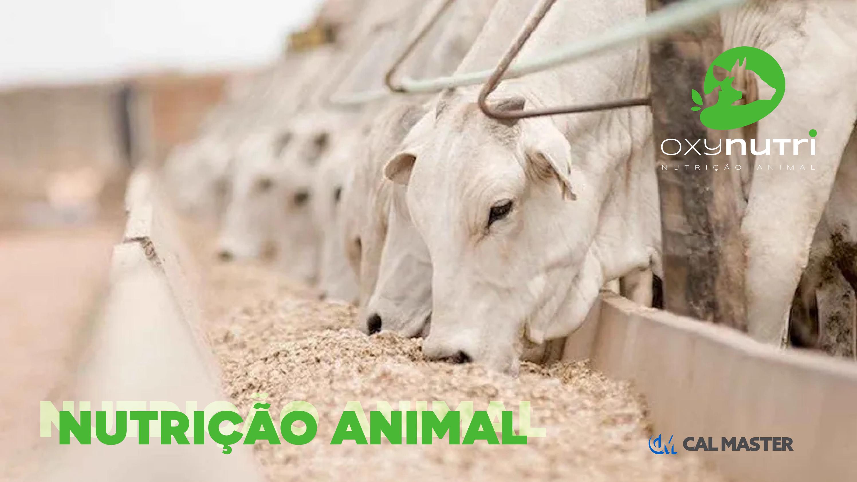 Catálogo Nutrição Animal Cal Master by Lorena Vieira - Comercial Cal ...