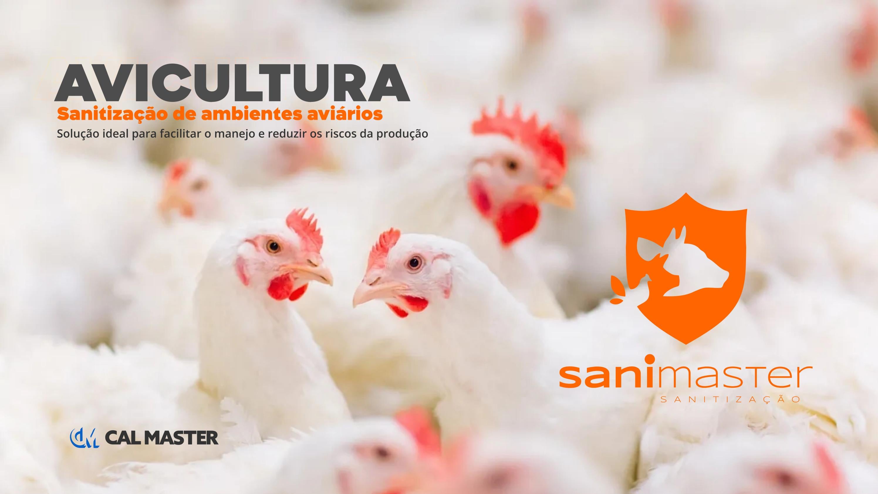 Catálogo Sanimaster Cal Master by Lorena Vieira - Comercial Cal Master ...