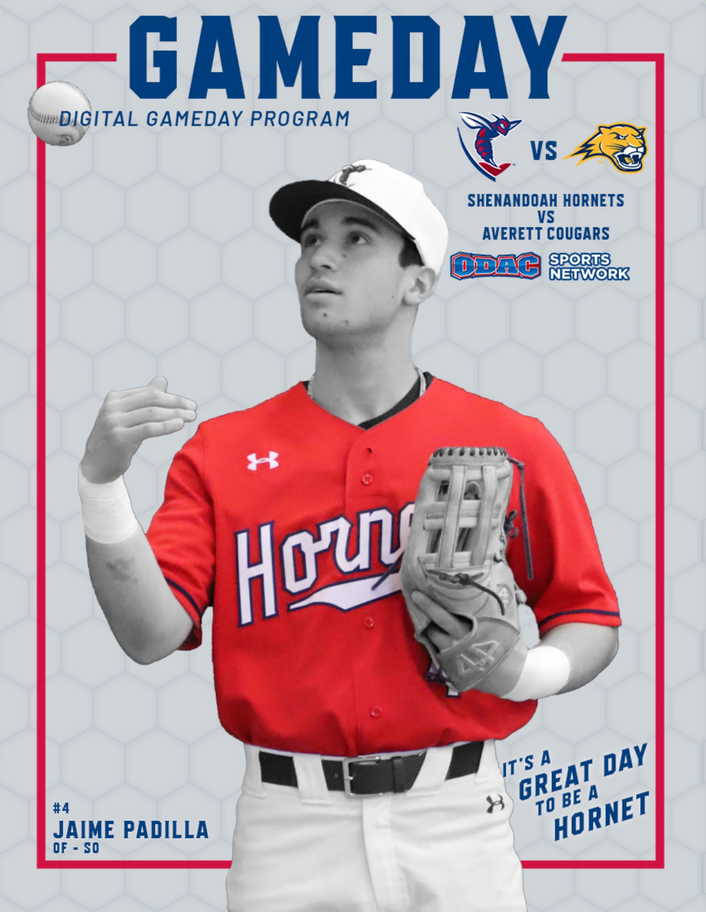 SU Baseball vs Averett Gameday Program by Keric Jackson - Issuu