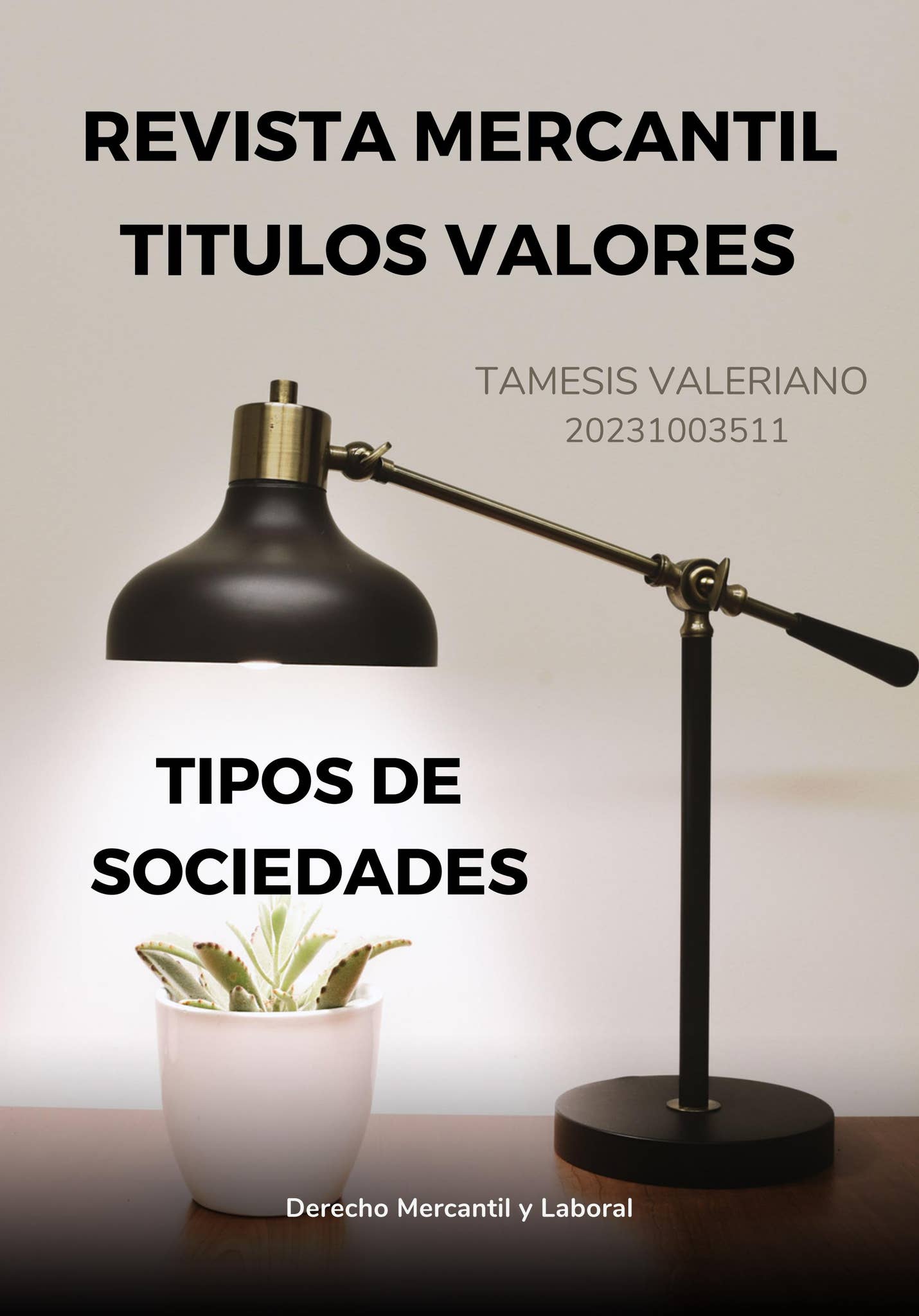 Revista Mercantil by Haneth Valeriano - Issuu