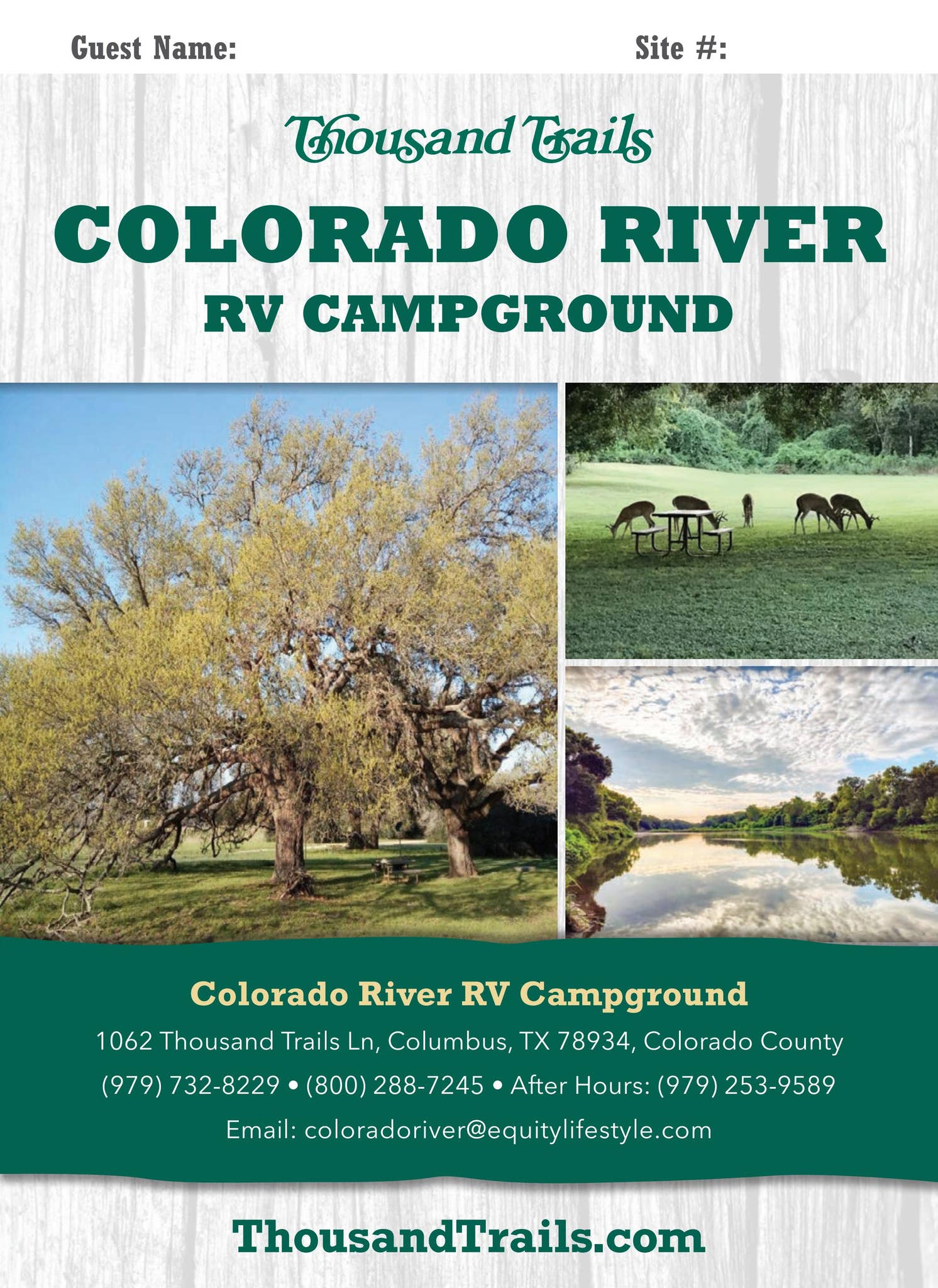 Thousand Trails Colorado River by AGS/Texas Advertising - Issuu