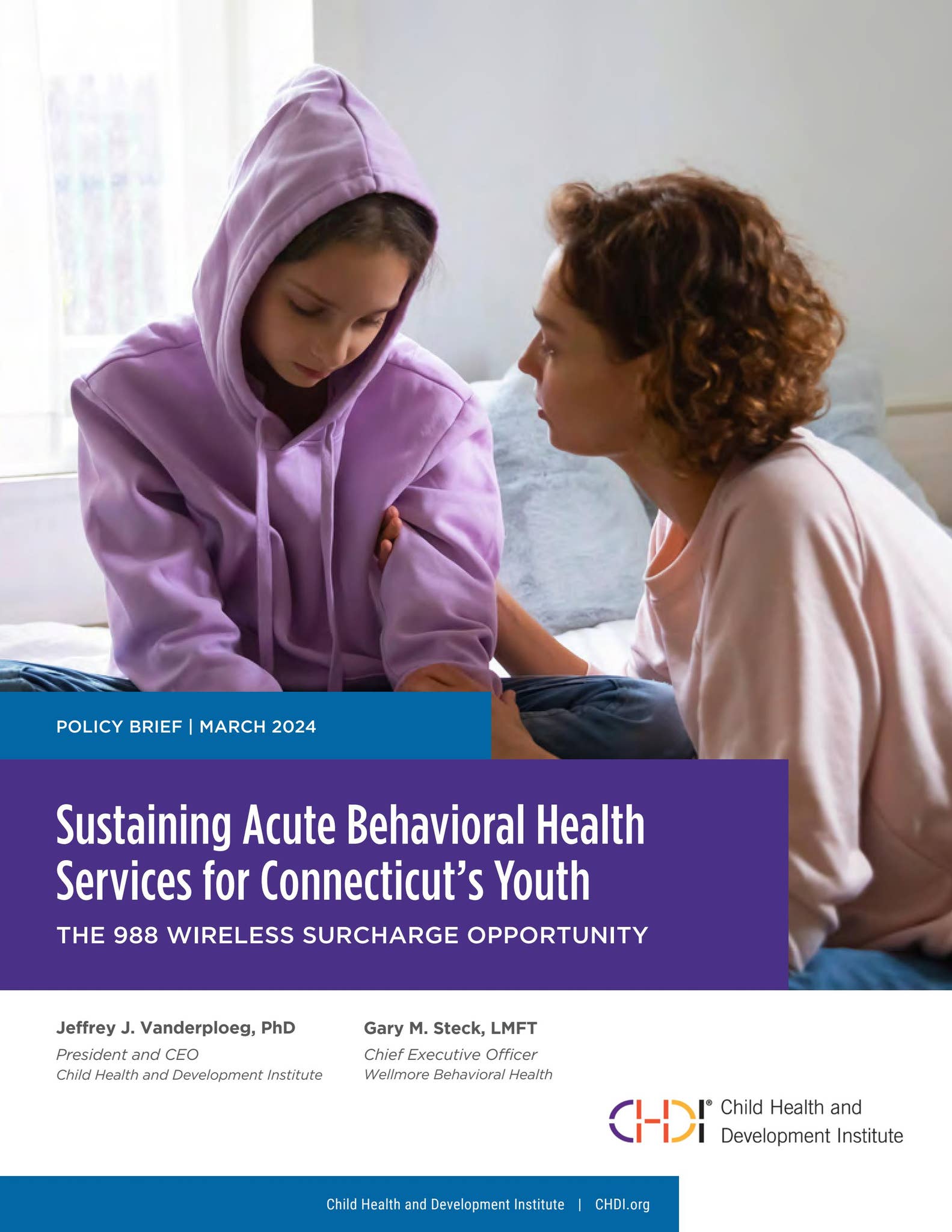 Policy Brief - Sustaining Acute Behavioral Health Services for ...