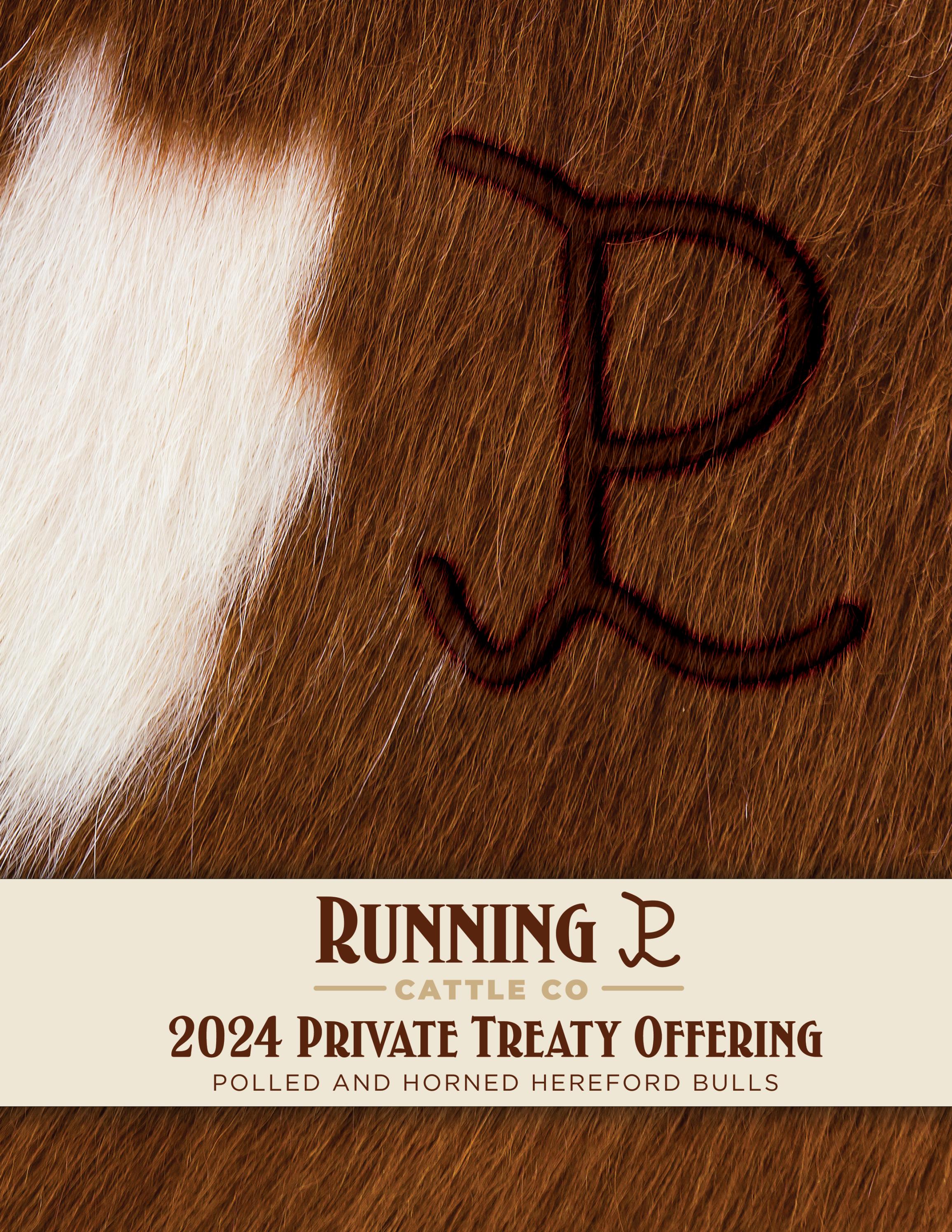 2024 Running P Sale Catalog by Ranch House Designs - Issuu