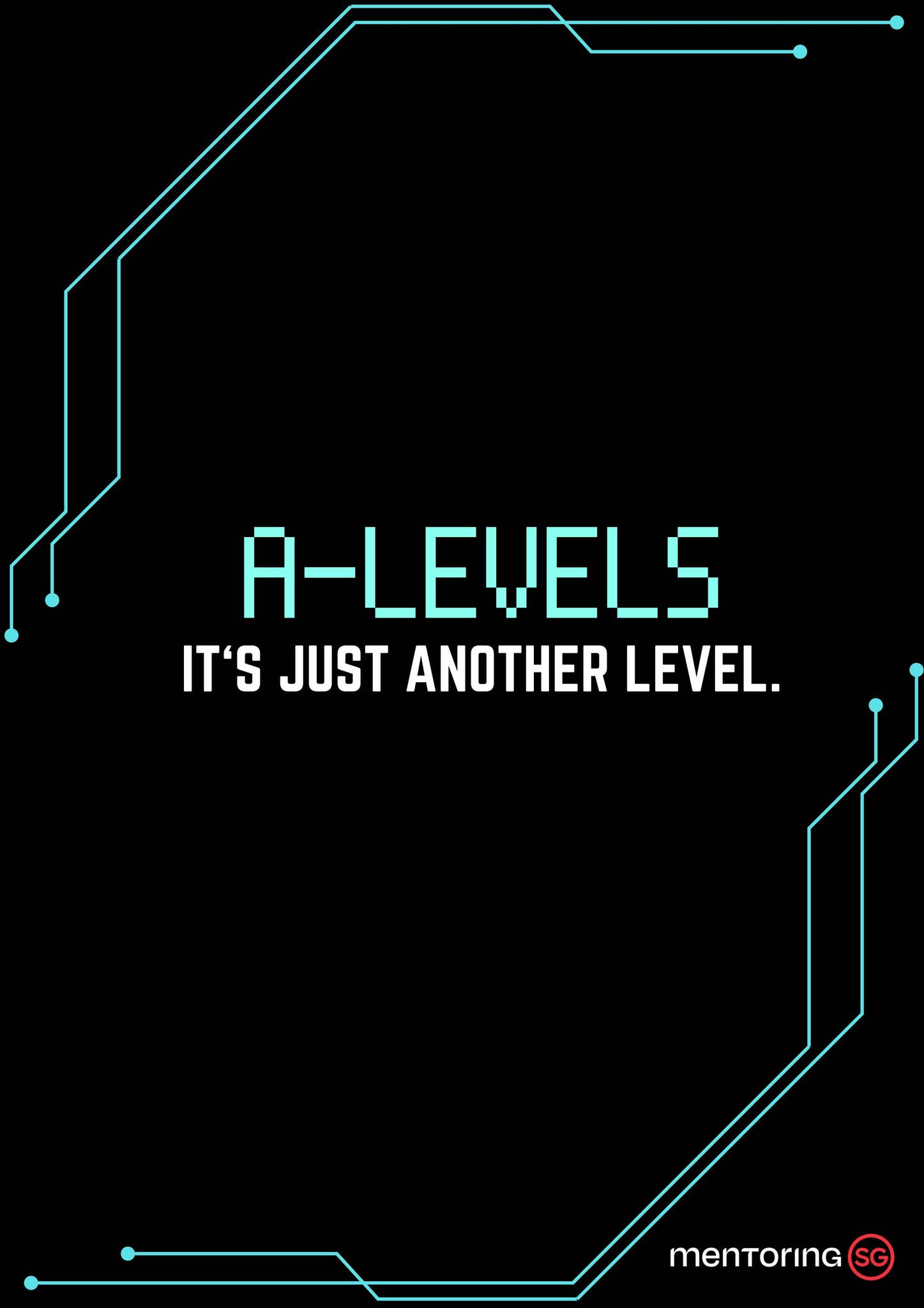 A-Levels? It's Just Another Level E-Resource Pack by Mentoring SG - Issuu