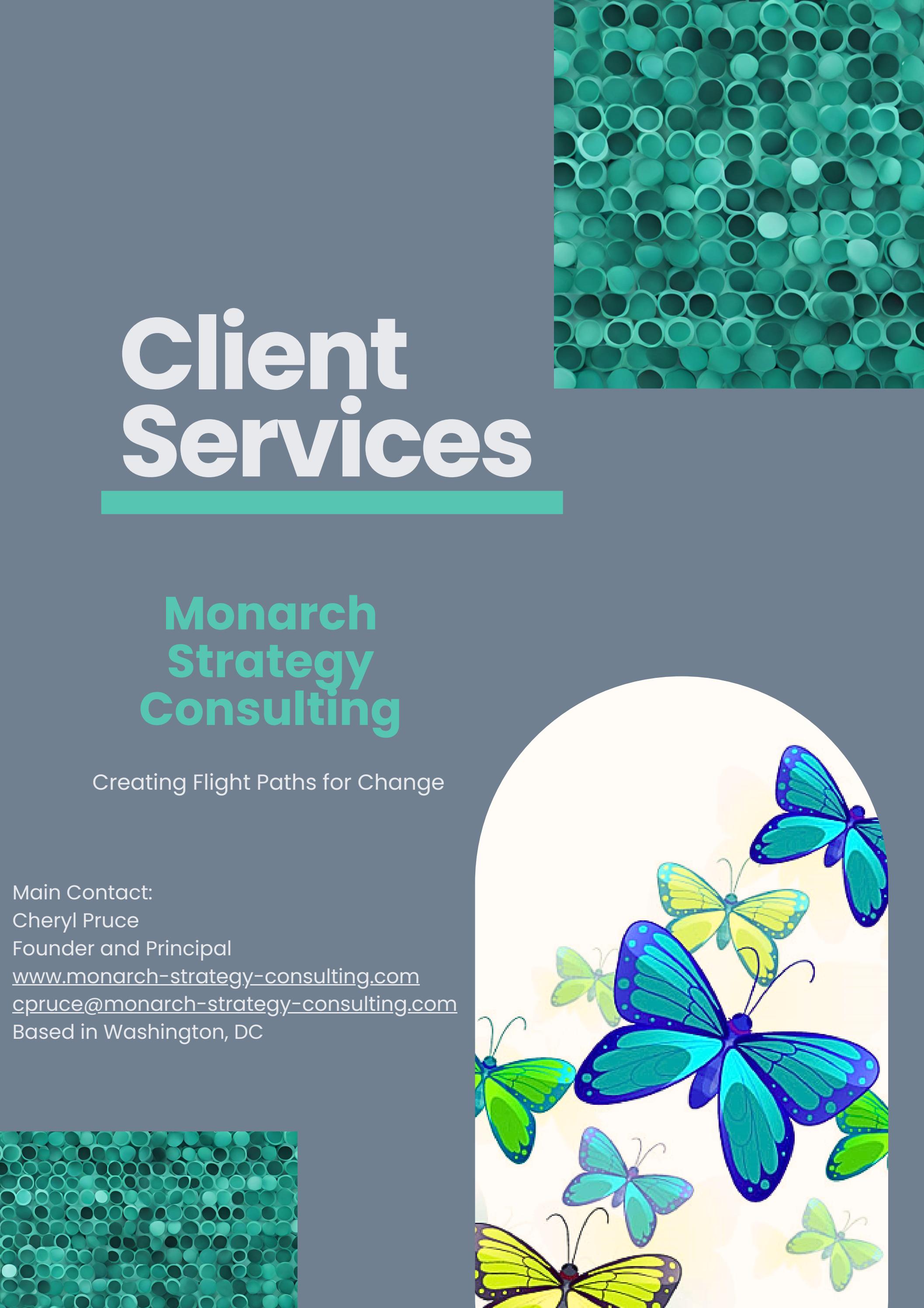 Monarch Strategy Consulting Client Services by ...