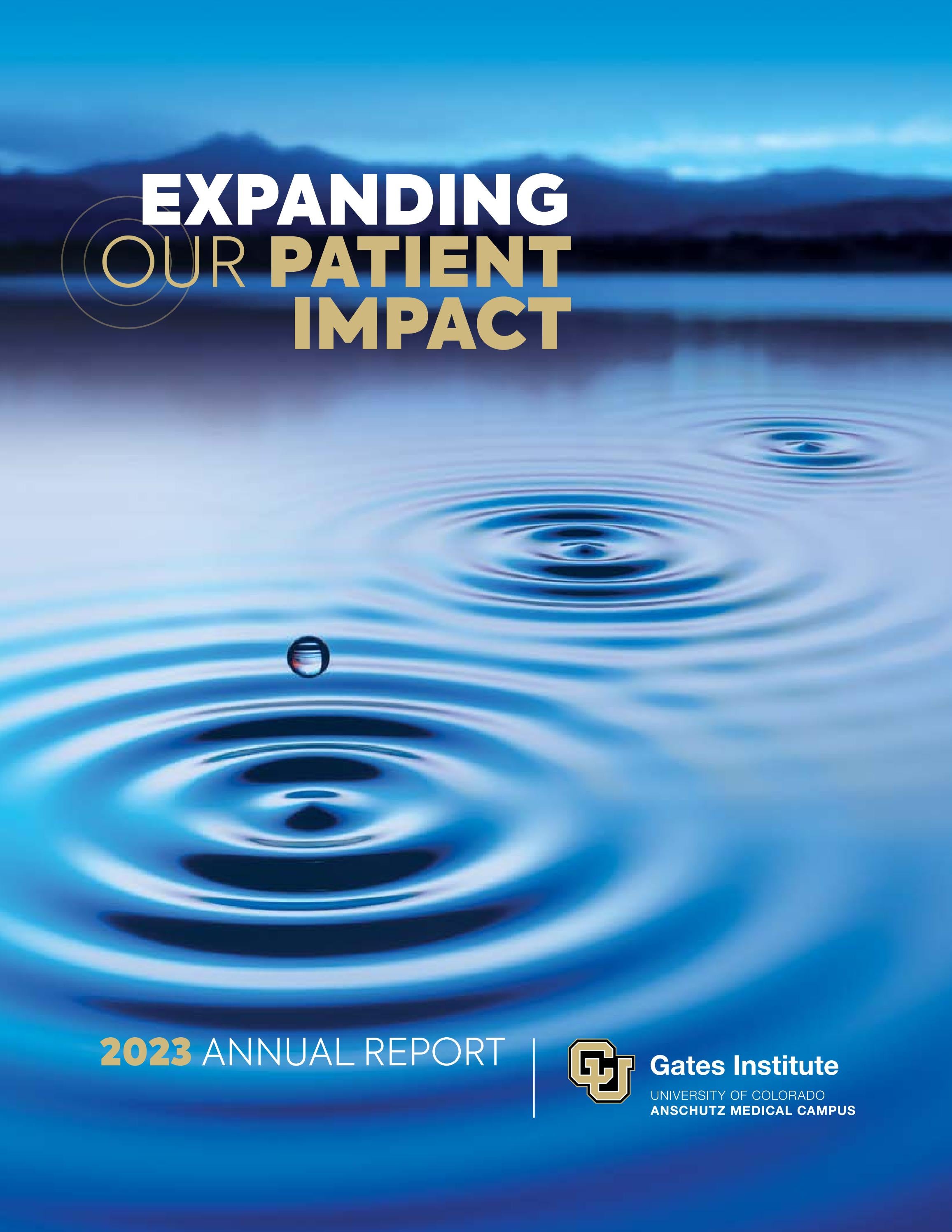 Gates Institute 2023 Annual Report by Gates Institute - Issuu