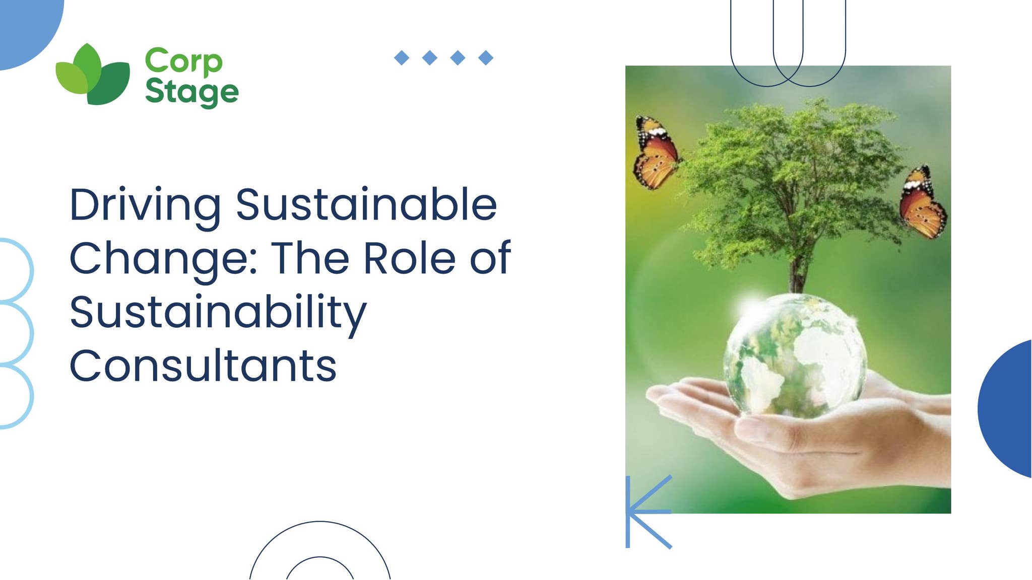 driving sustainable change the role of sustainability consultants by ...