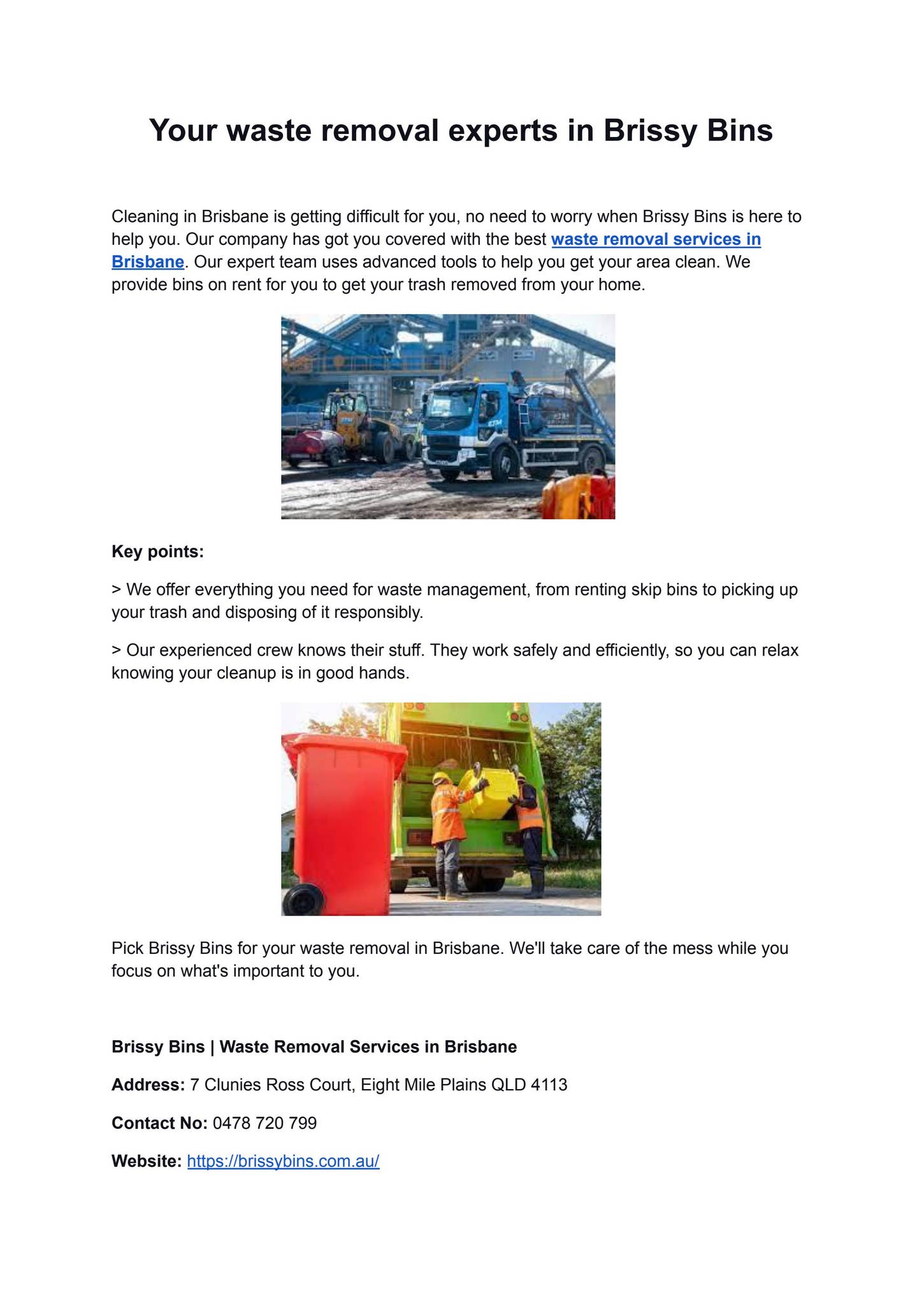 Your waste removal experts in Brissy Bins by Dwayne - Issuu