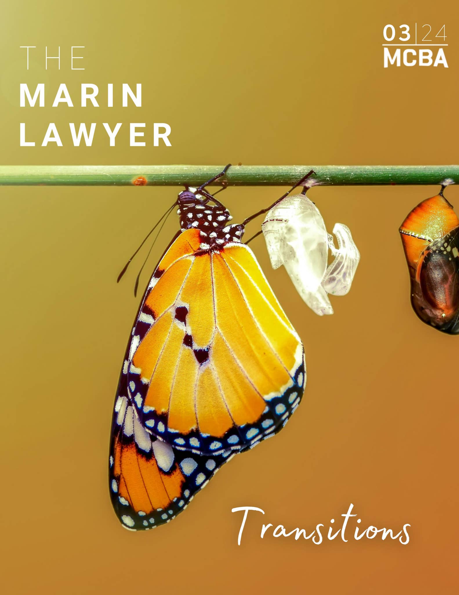 The Marin Lawyer: March 2024 by Marin County Bar Association - Issuu