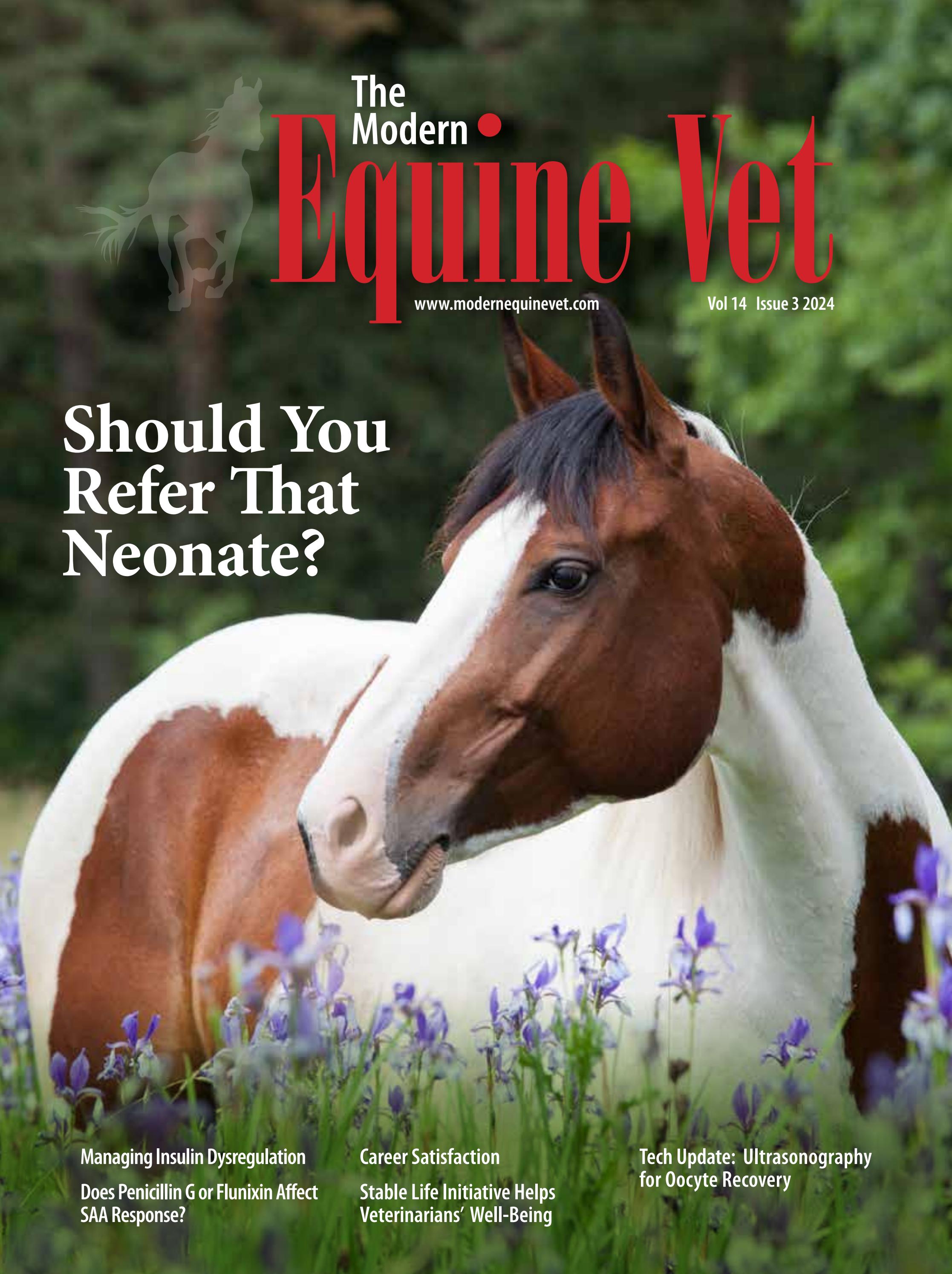 The Modern Equine Vet - March 2024 by The Modern Equine Vet - Issuu