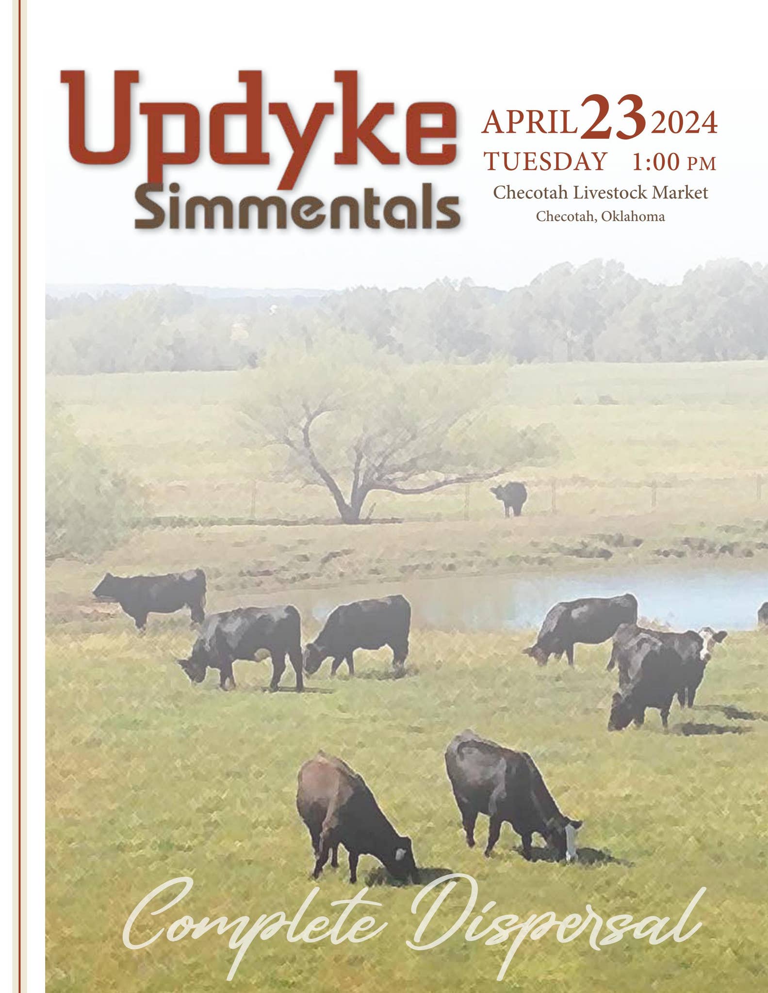 Updyke Simmentals Complete Dispersal 2024 Sale by Barbour Marketing ...