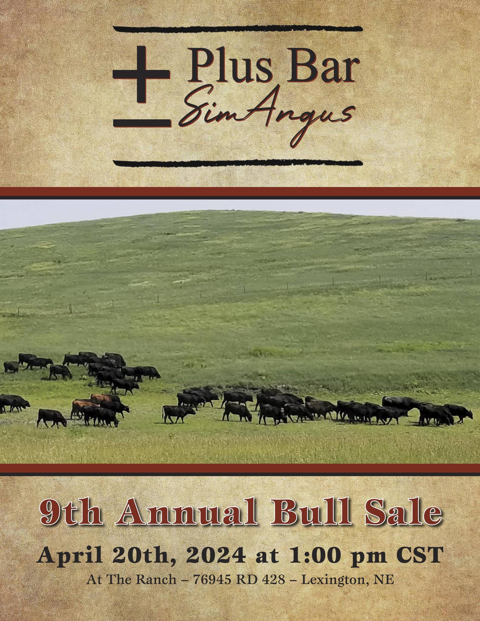 Bar Plus SimAngus by American Simmental Publication, Inc - Issuu