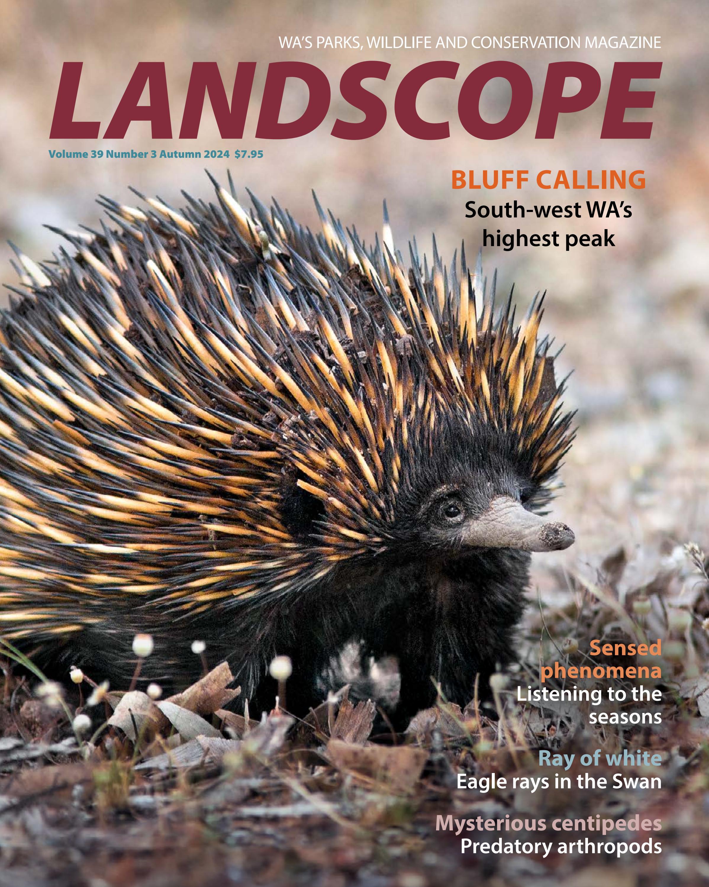 LANDSCOPE Autumn 2024 - PREVIEW by WA Naturally - Issuu