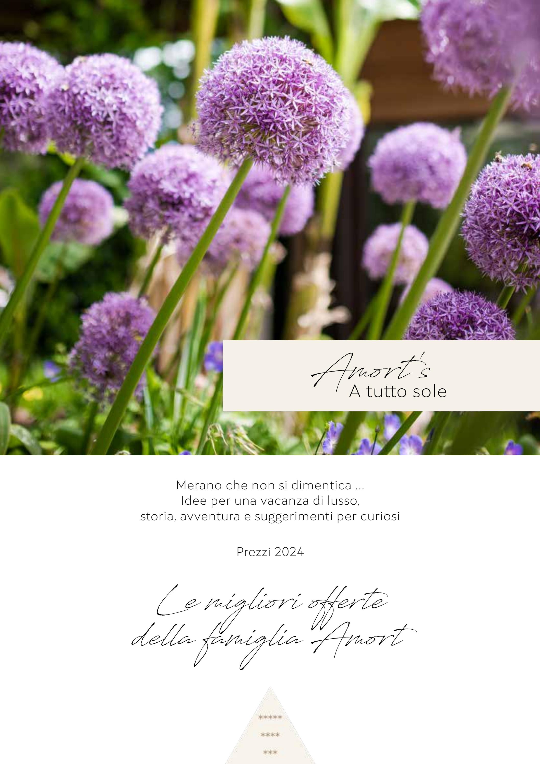 hotelmignon.com - Preisliste IT by piloly.com GmbH - Issuu