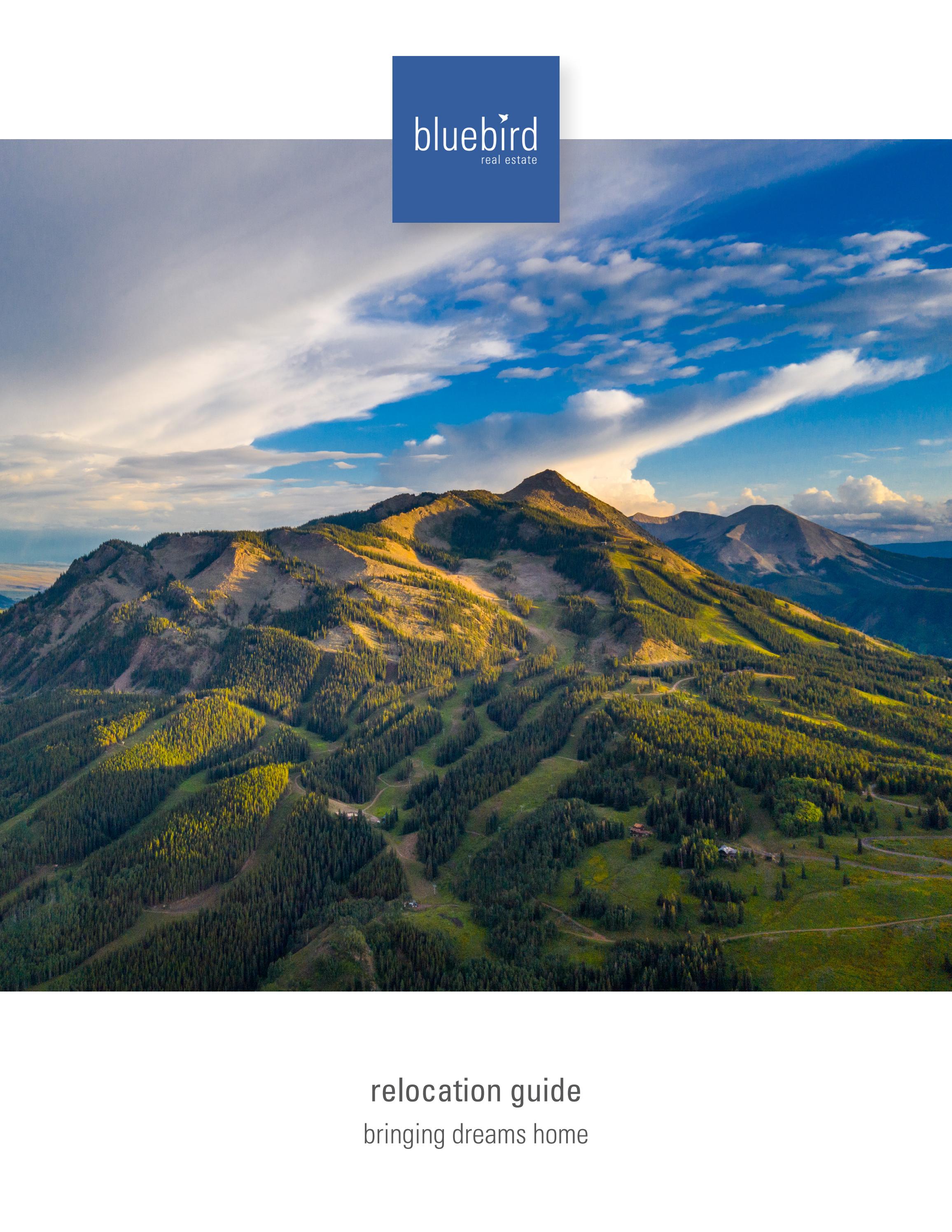 Relocation Packet 2024 North by Bluebird Real Estate - Issuu