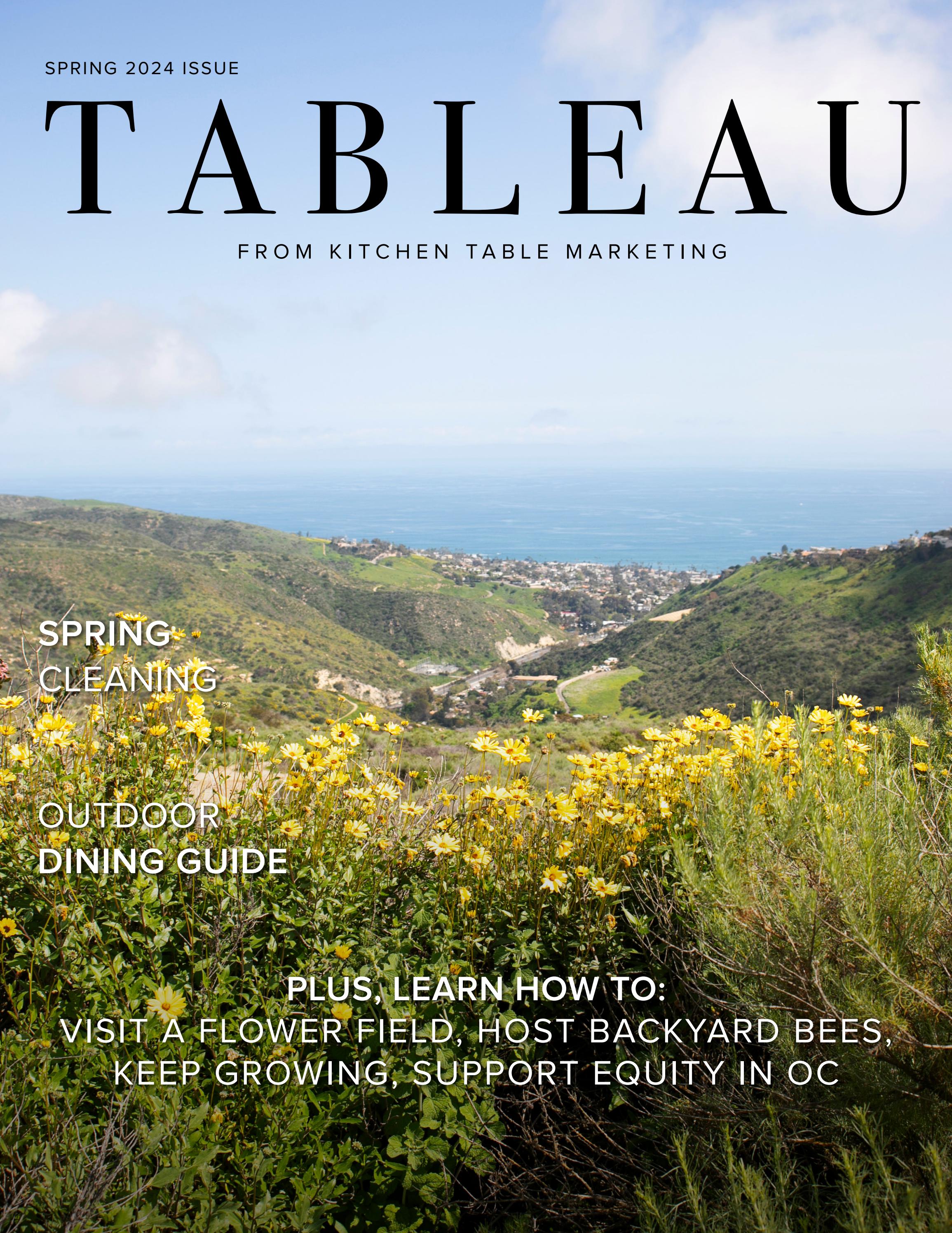 Tableau Magazine - Spring 2024 by Tableau Magazine - Issuu