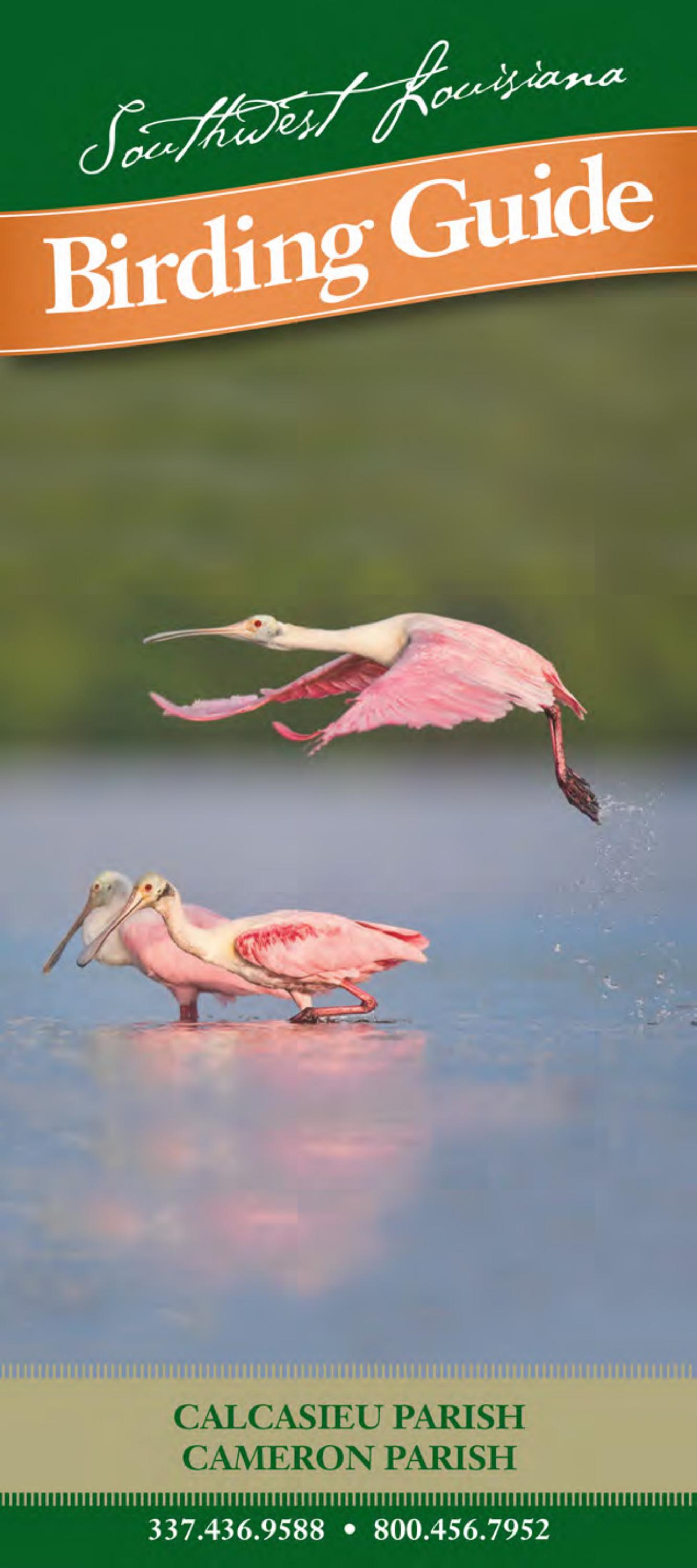 Southwest Louisiana Birding Guide by Visit Lake Charles - Issuu