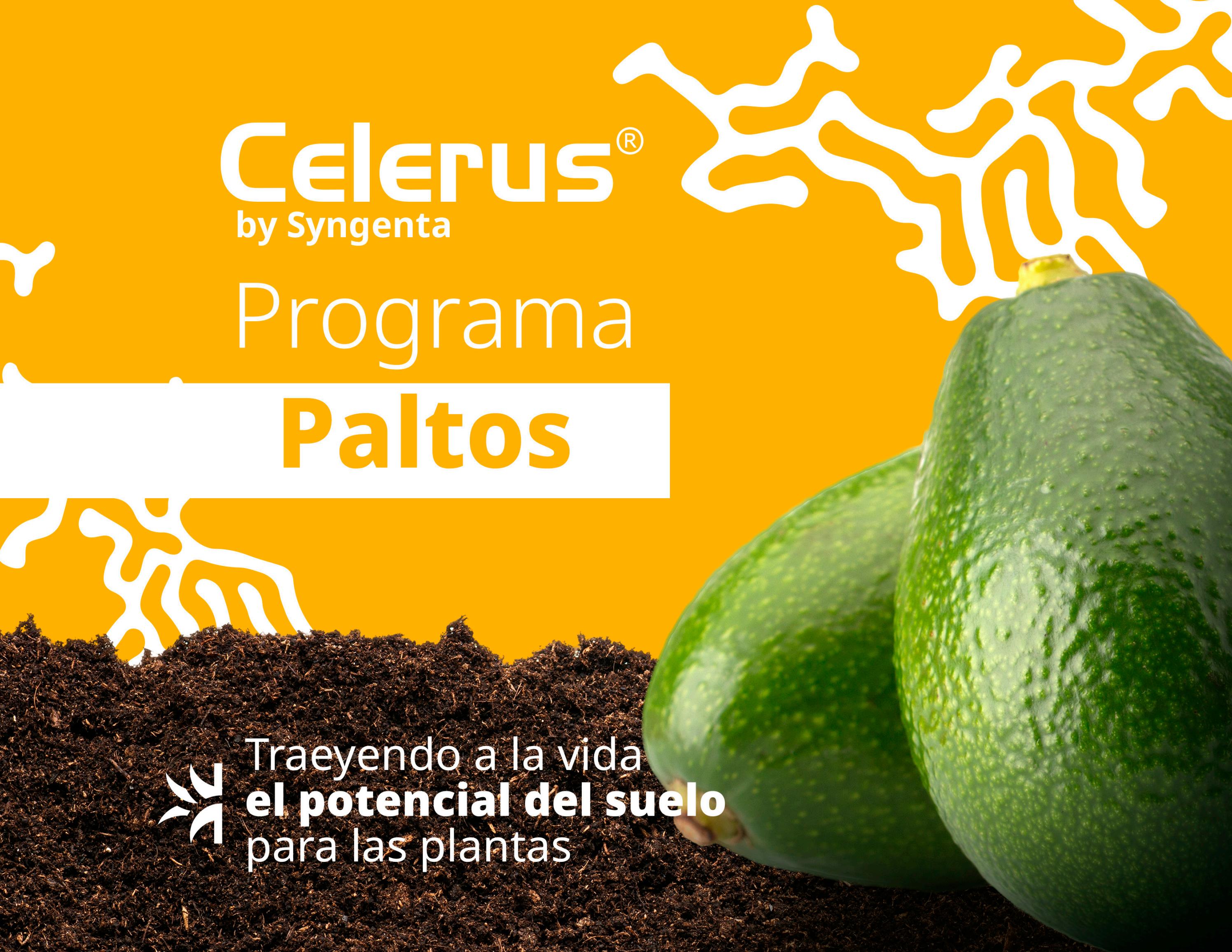 Programa Celerus® Bioestimulantes - Palto by Syngentachile - Issuu