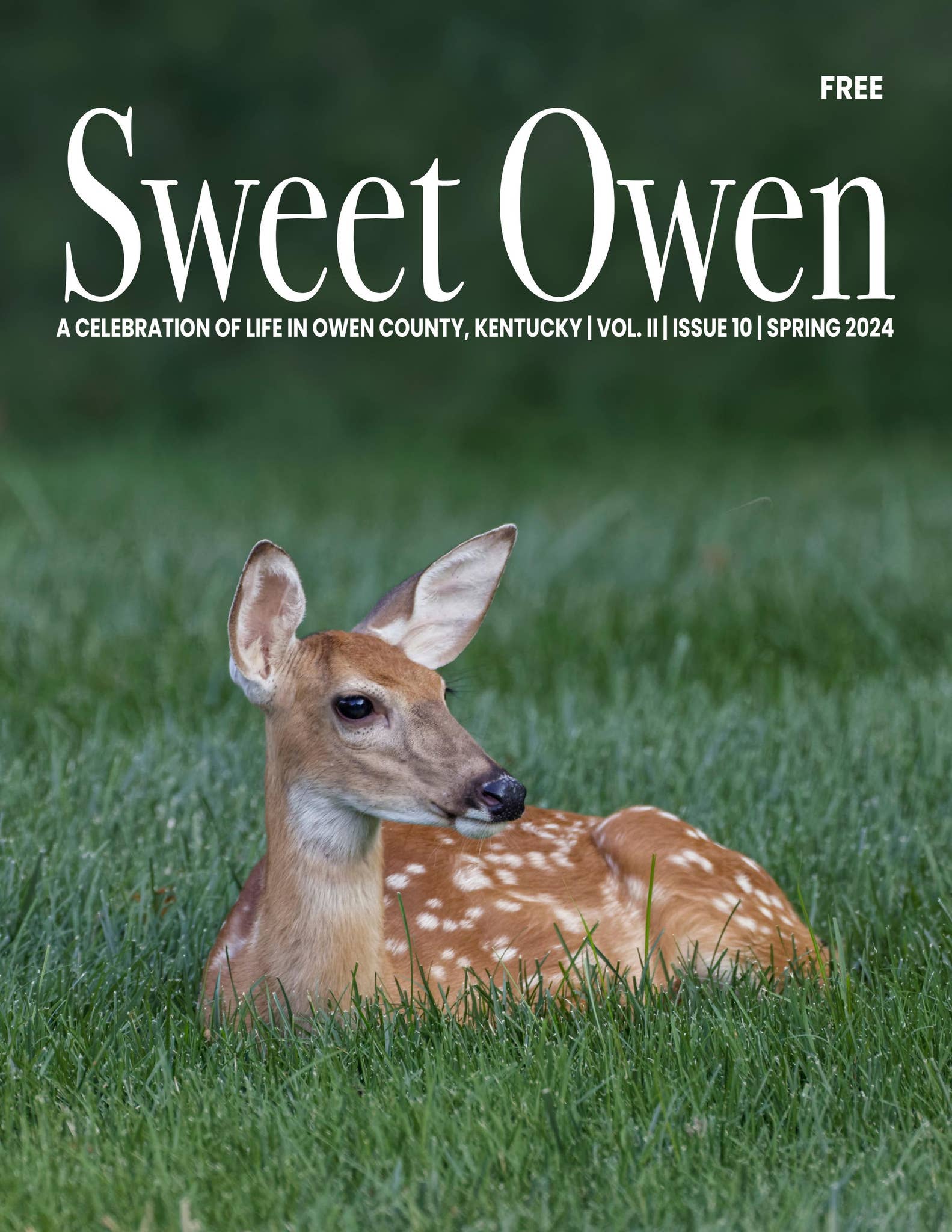 Spring 2024 | Sweet Owen Magazine by sweetowen - Issuu