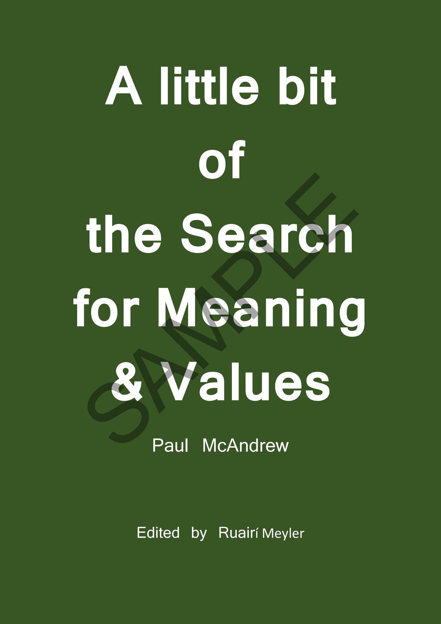 SAMPLE - A Little Bit of Search For Meaning and Values by The Examcraft ...