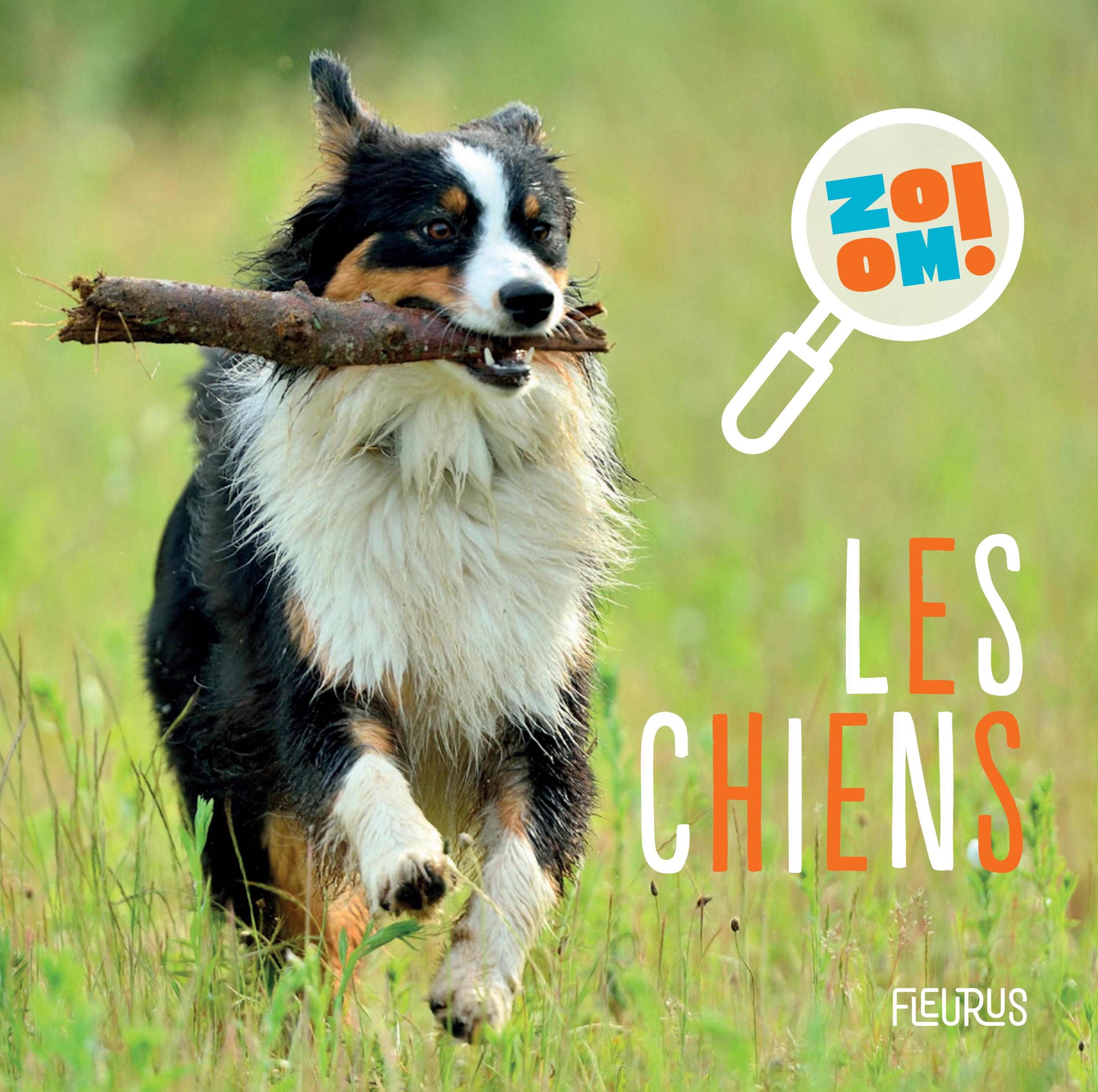 Zoom ! - Les chiens by Fleurus Editions - Issuu