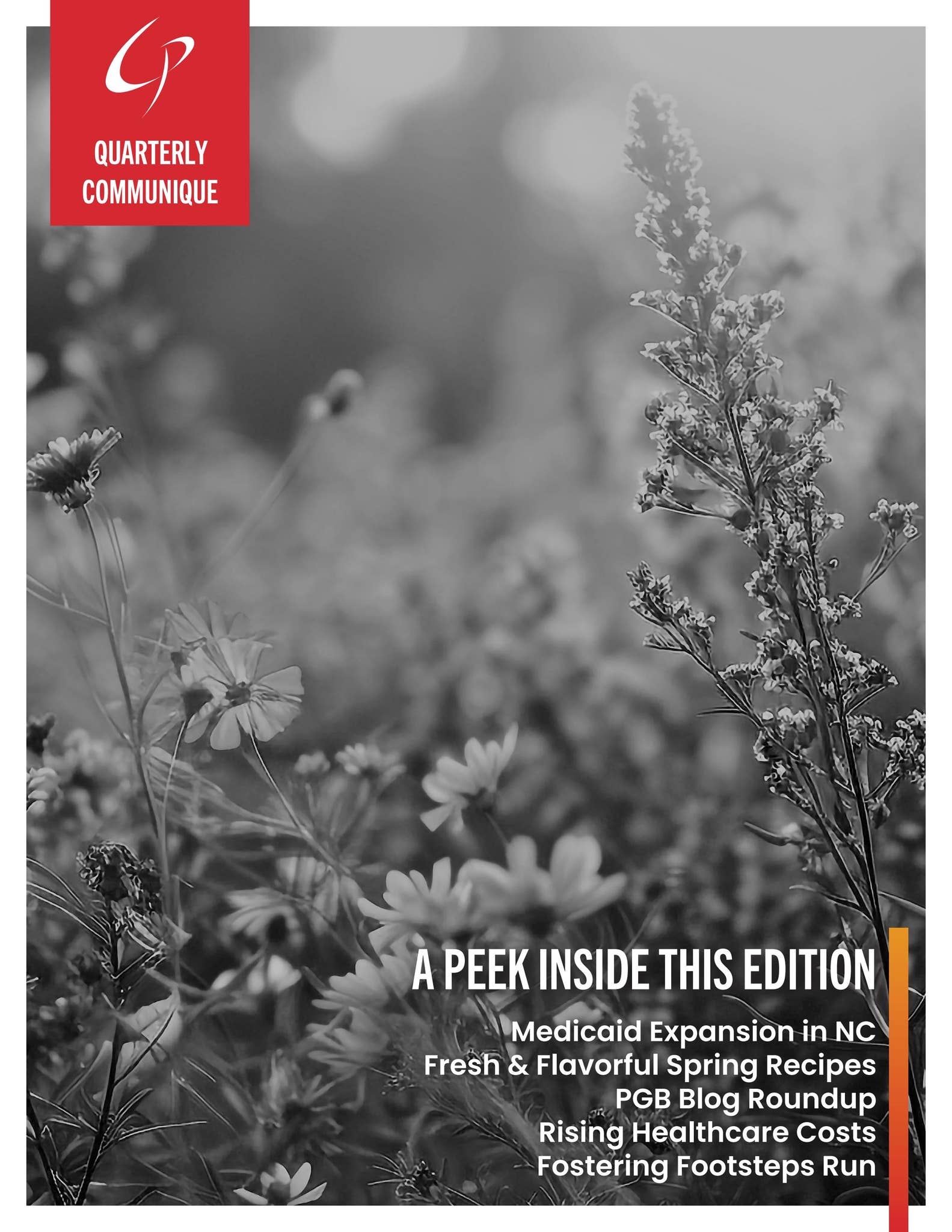 Q2 2024 Newsletter | Pierce Group Benefits by Pierce Group Benefits - Issuu