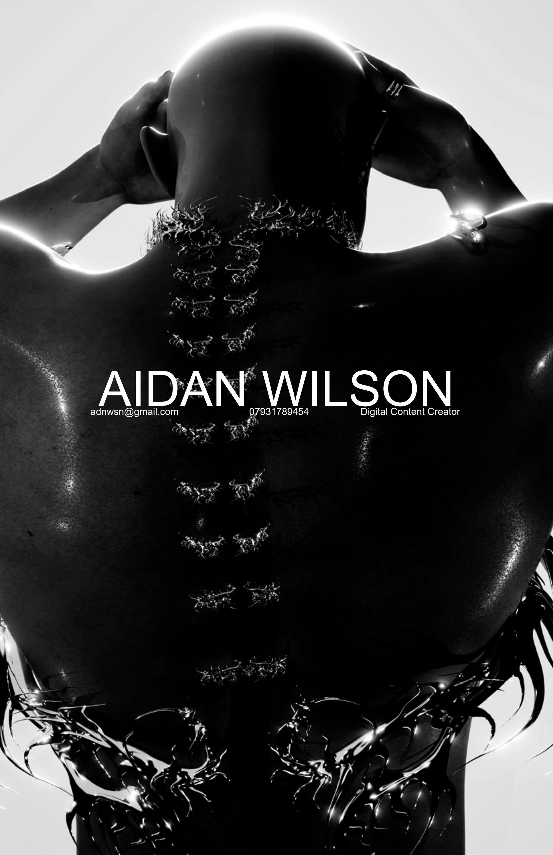 portfolio INDESIGN copy by Aidan Wilson - Issuu