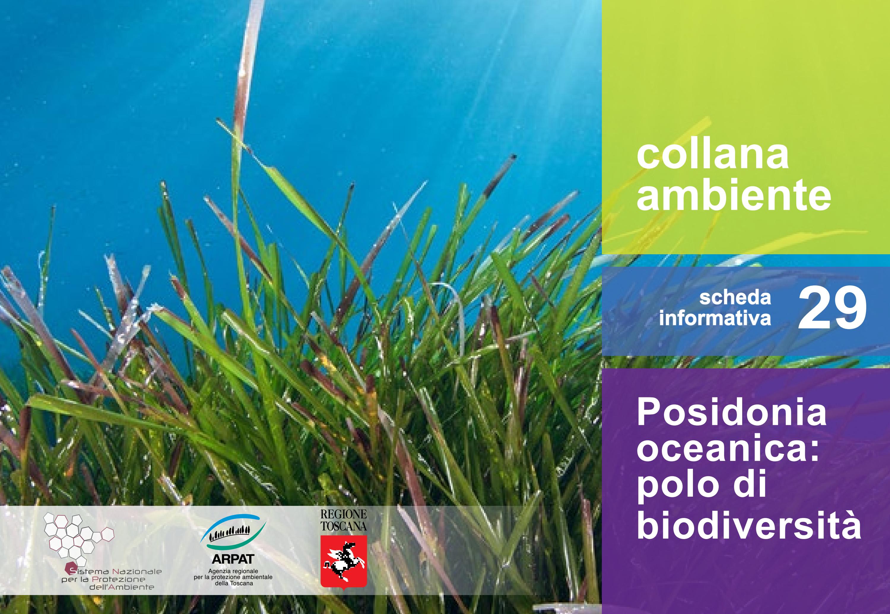 Posidonia oceanica: polo di biodiversità by ARPAT - Issuu