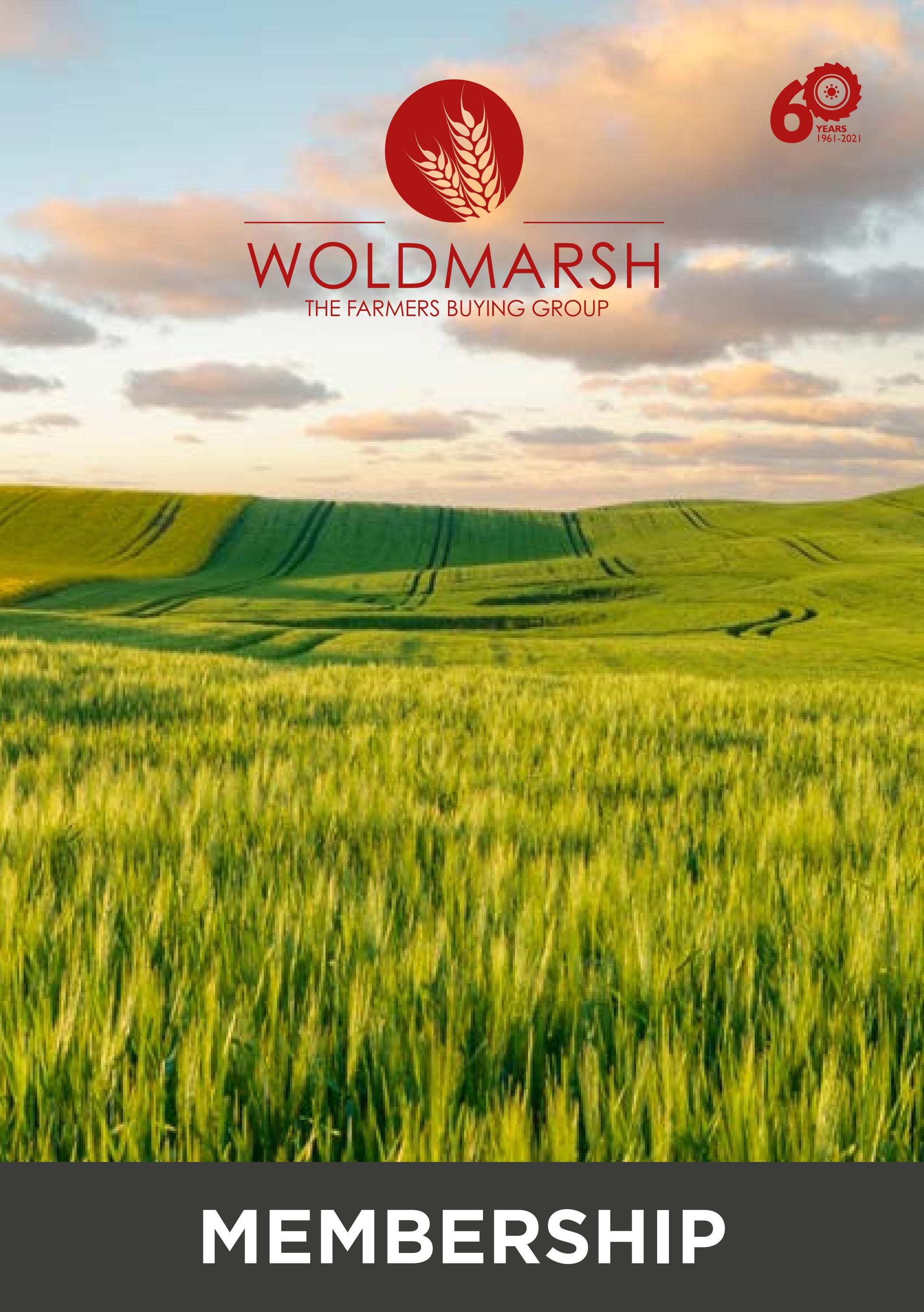 Membership Information by Woldmarsh - Issuu