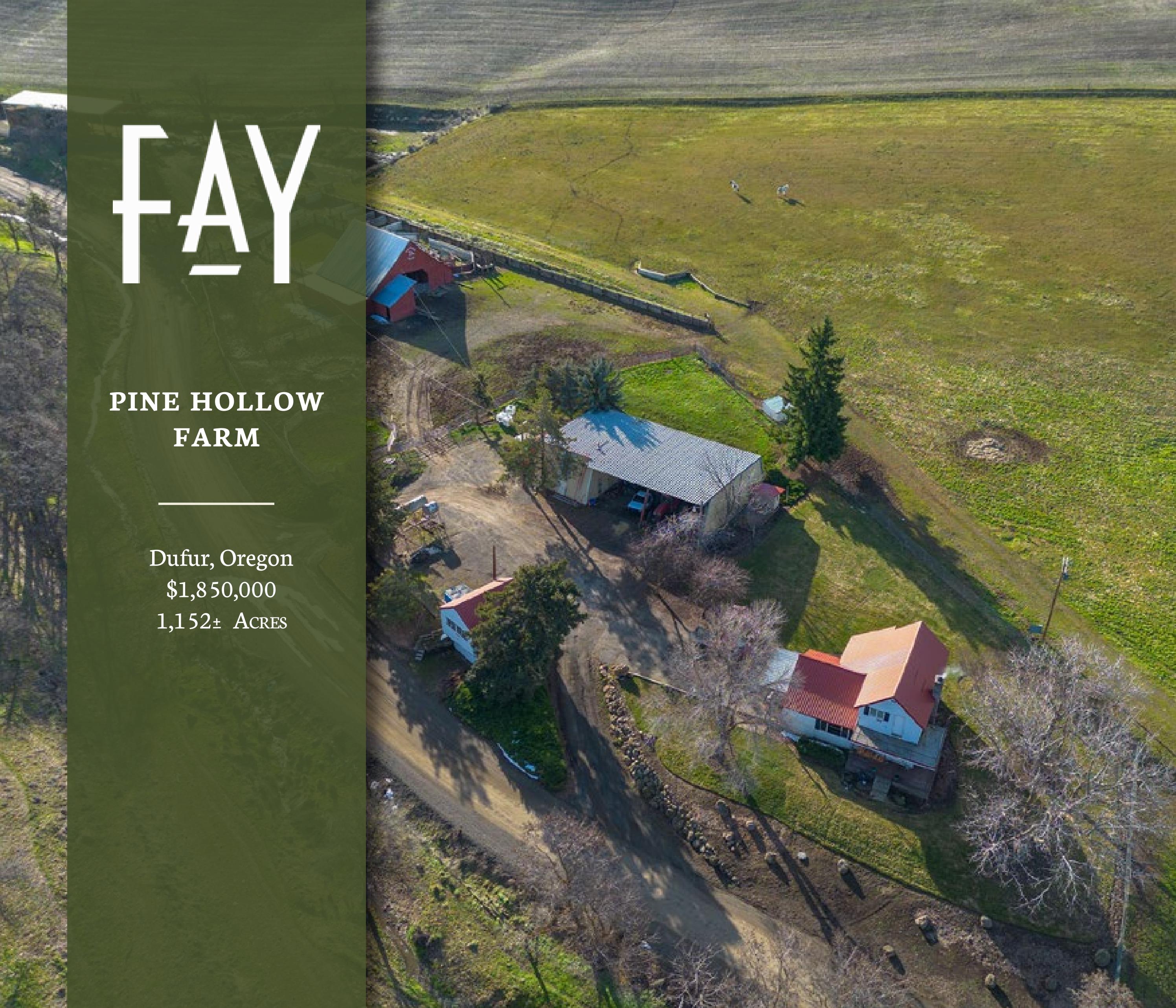 Pine Hollow Farm | Fay Ranches by Fay Ranches - Issuu