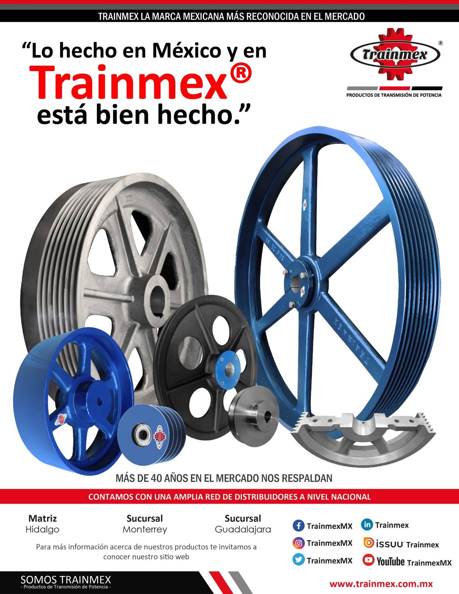 Ficha Técnica - Poleas Trainmex by TRAINMEX - Issuu