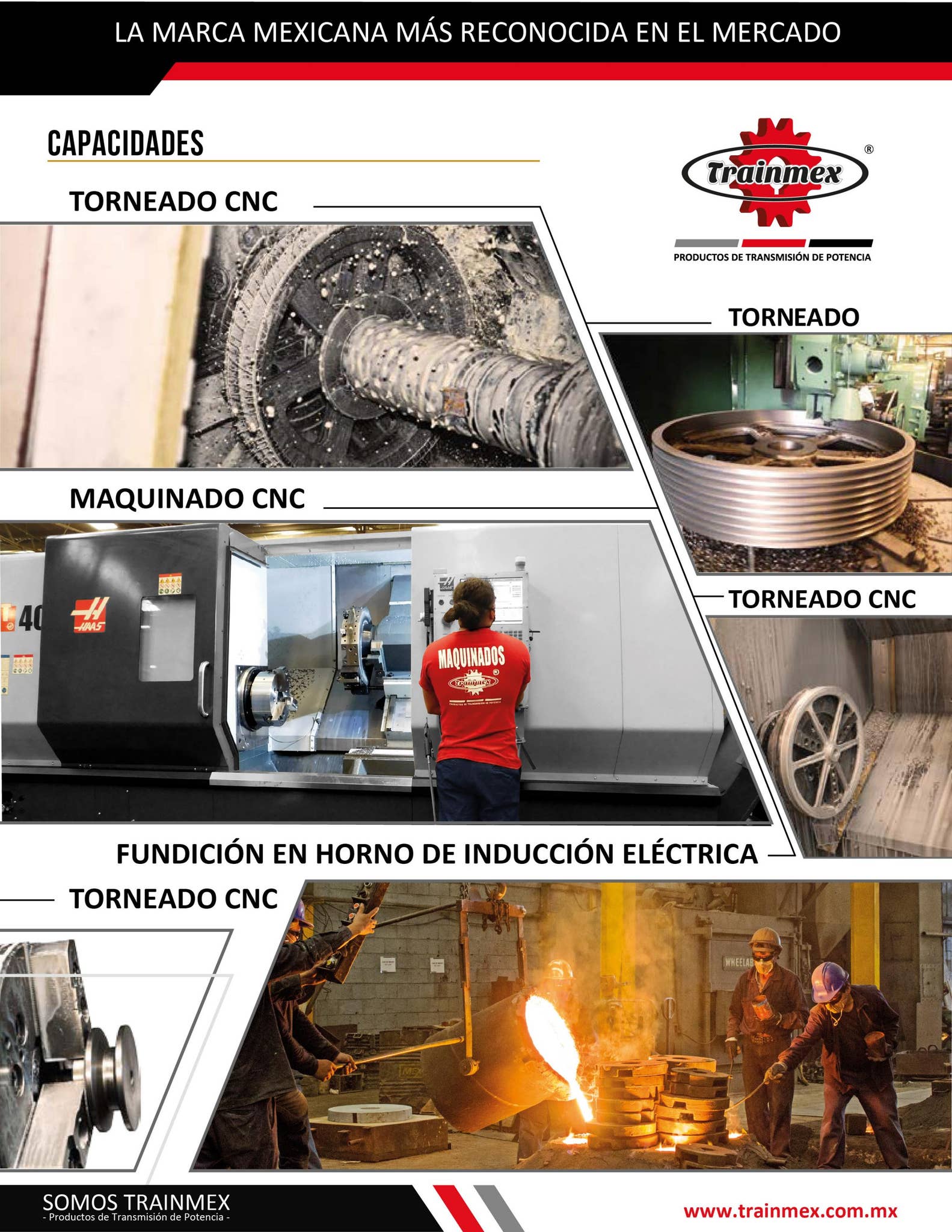 Ficha Técnica - Poleas Trainmex by TRAINMEX - Issuu