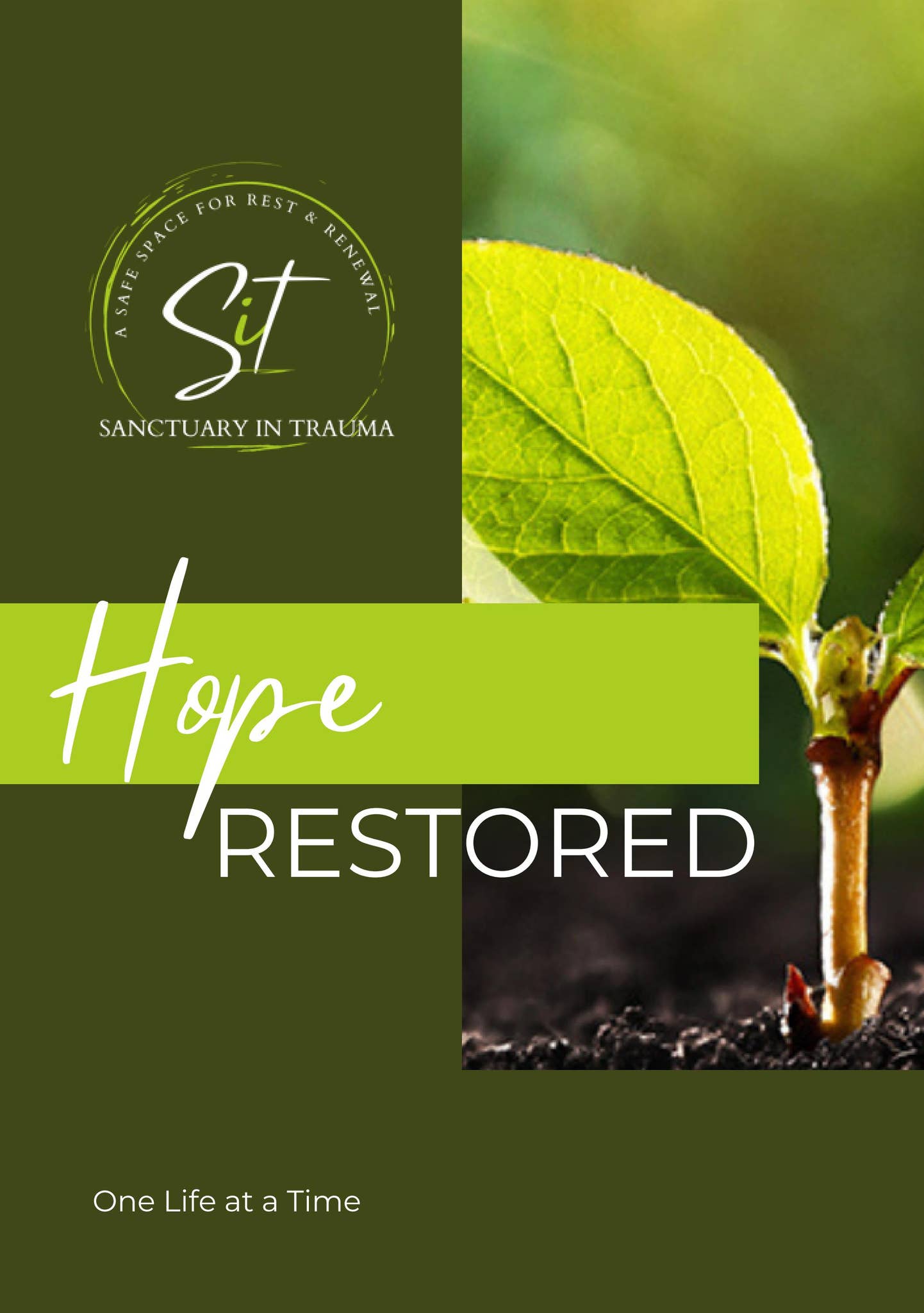 Hope Restored: Zoom SiT Session Info by SanctuaryInTrauma - Issuu