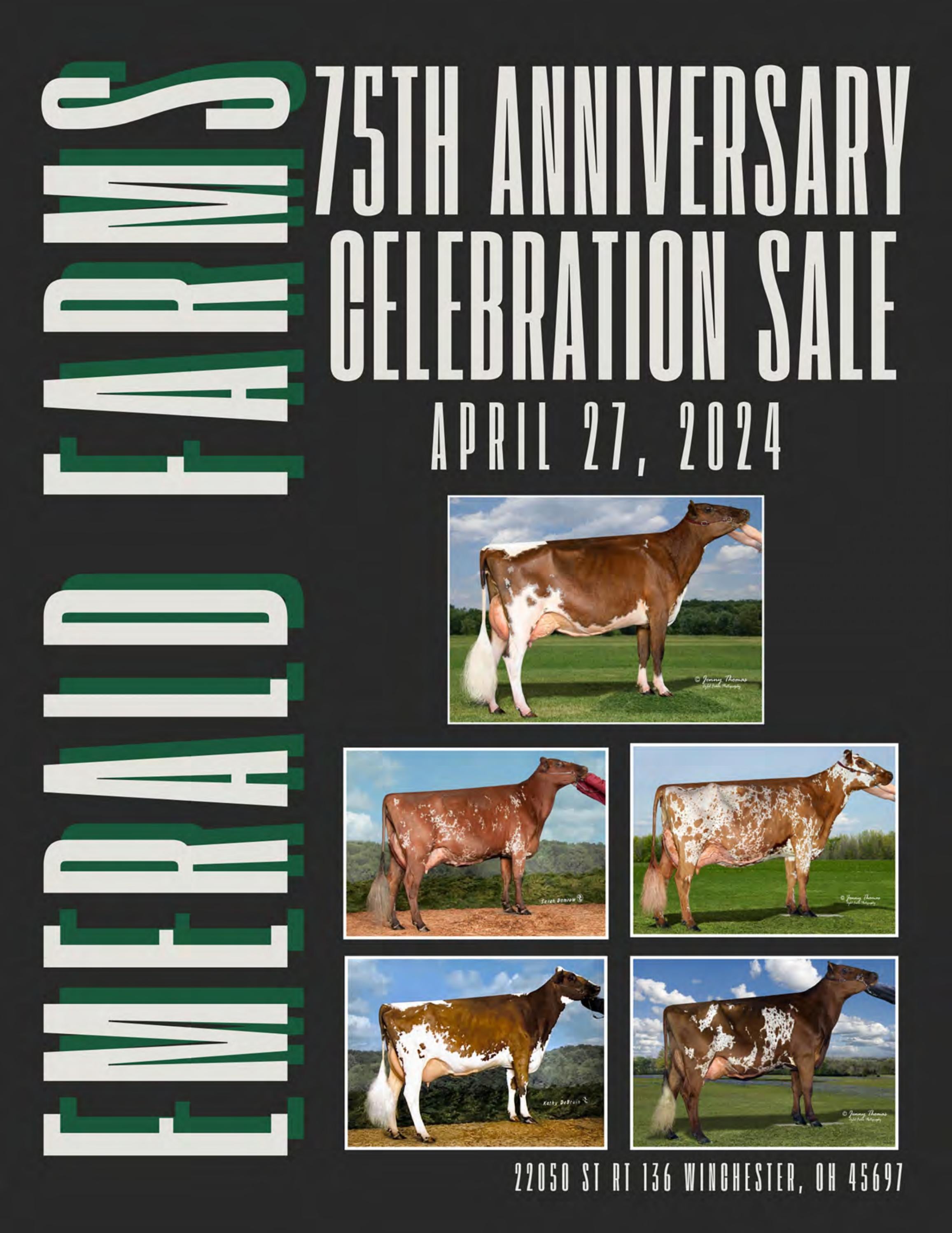 Emerald Farms 75th Annniversary Celebration Sale by Dairy Agenda Today ...
