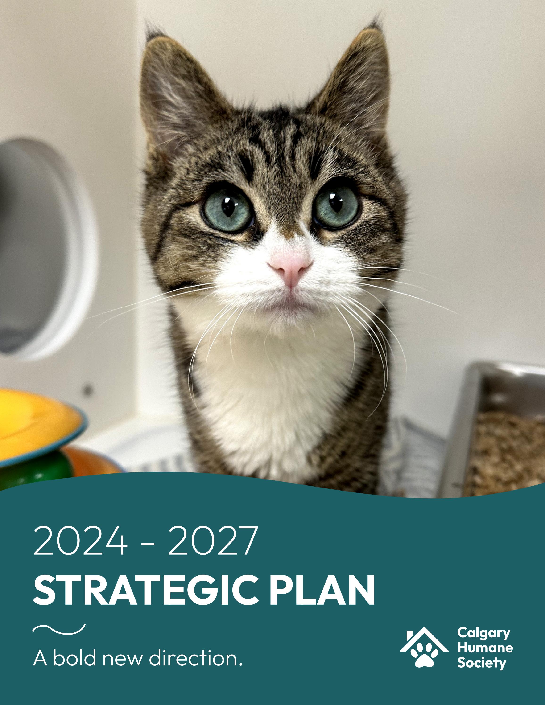 2024-2027 Strategic Plan by Calgary.Humane.Society - Issuu